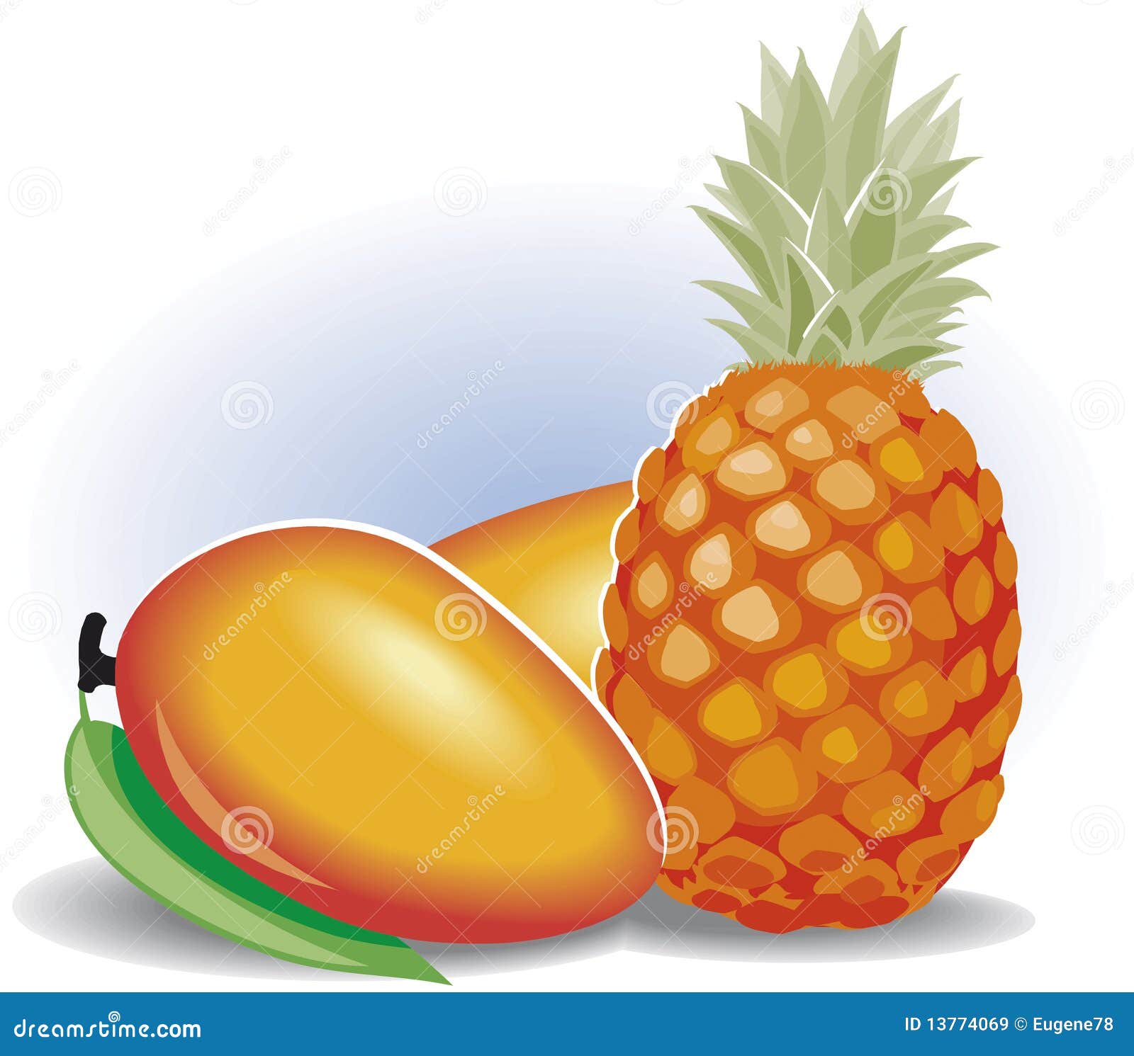 Fruits composition. stock vector. Illustration of pineapple - 13774069