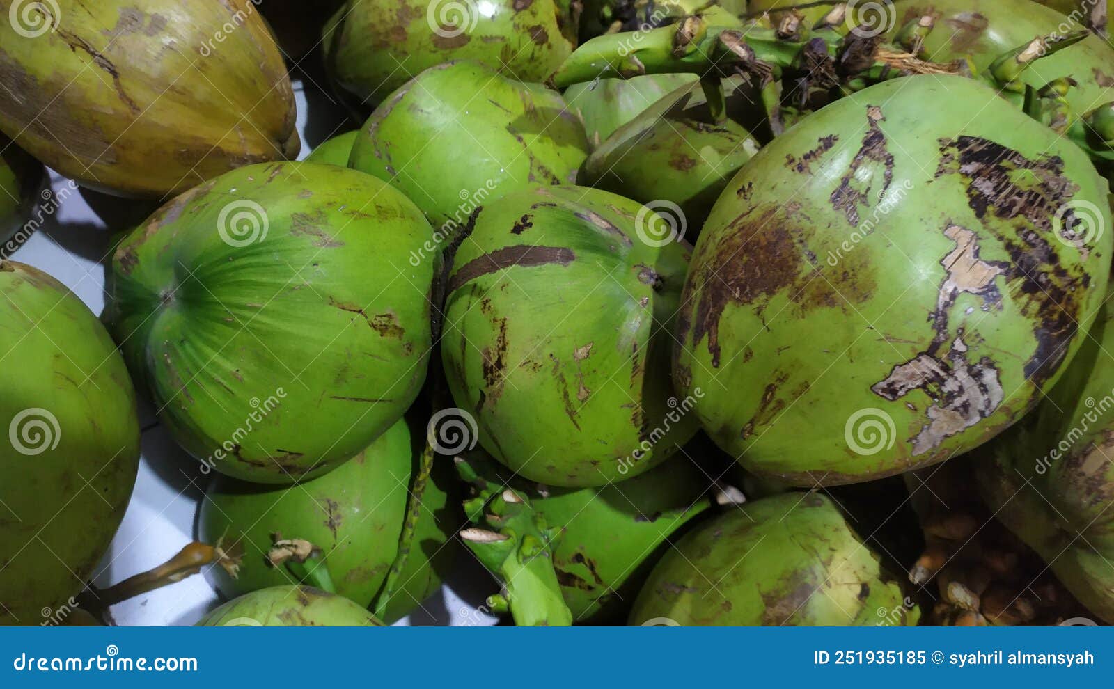 Fruits De Coco De Karawangindonesia Image stock - Image du ...