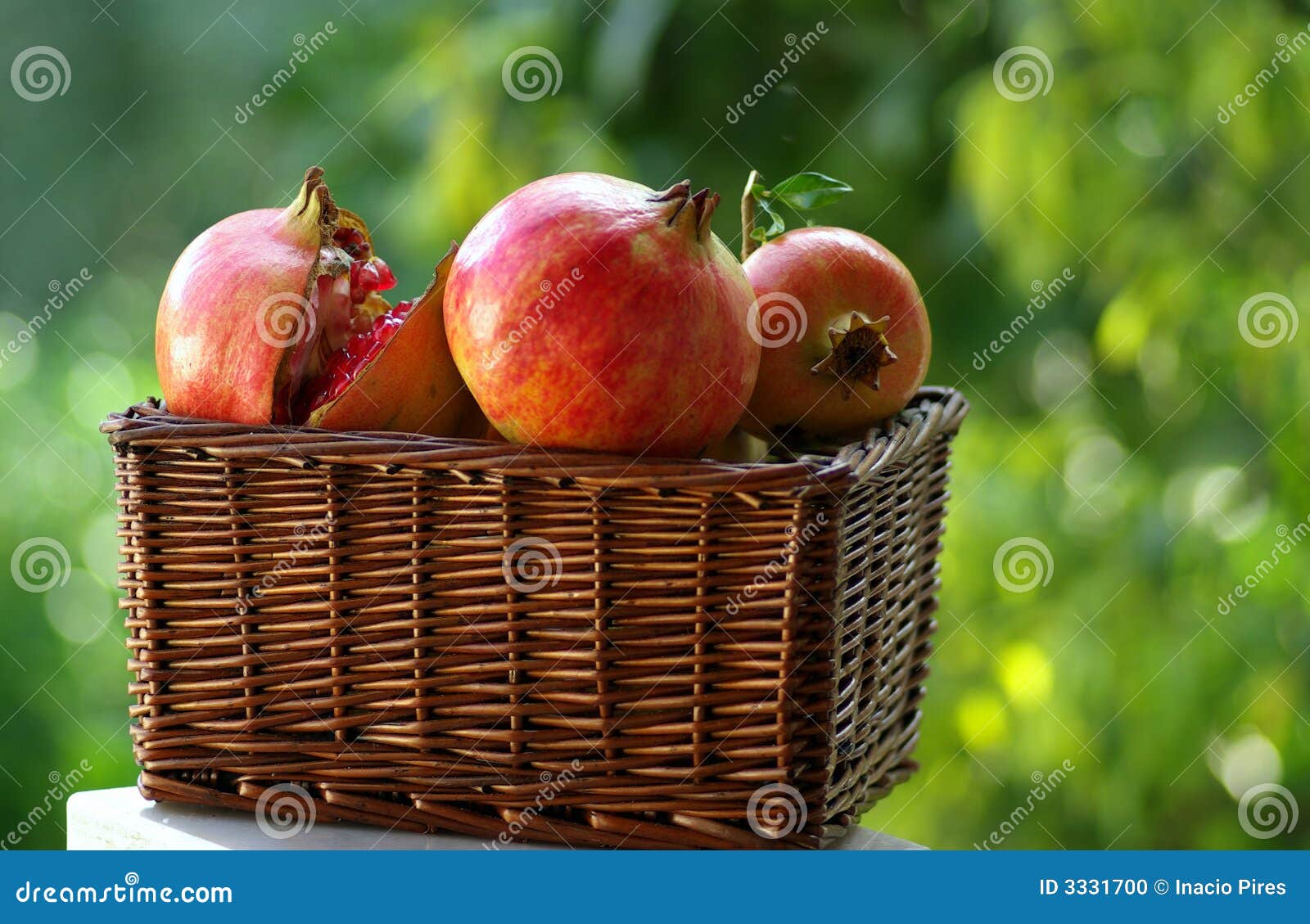 Fruits de l'automne photo stock. Image du texture, prise - 3331700