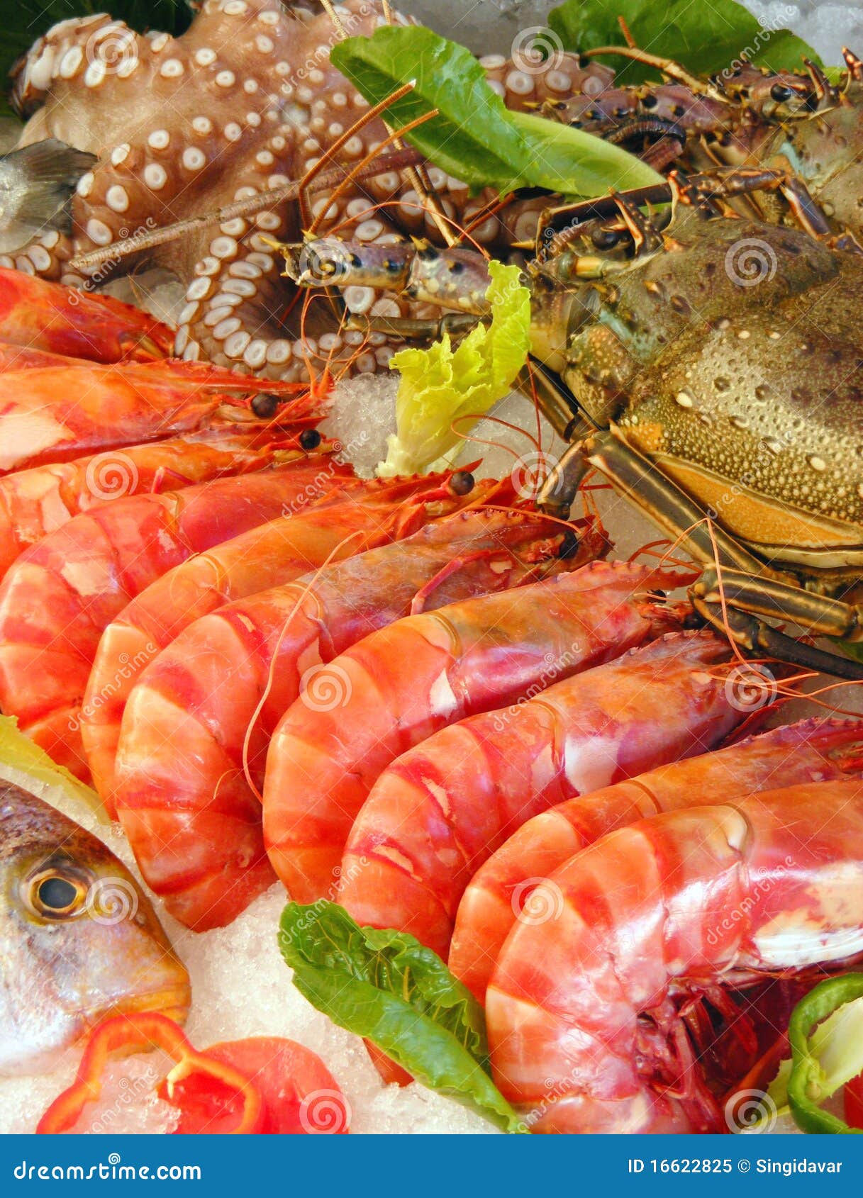 Fruits de mer frais image stock. Image du nutrition, frais - 16622825