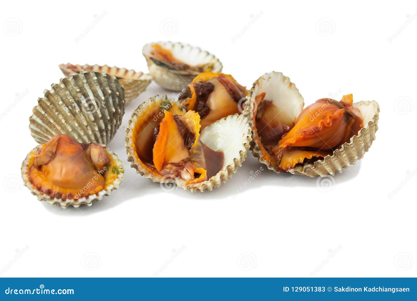 Fruits De Mer Frais De Coques Image stock - Image du seafood, bucarde ...