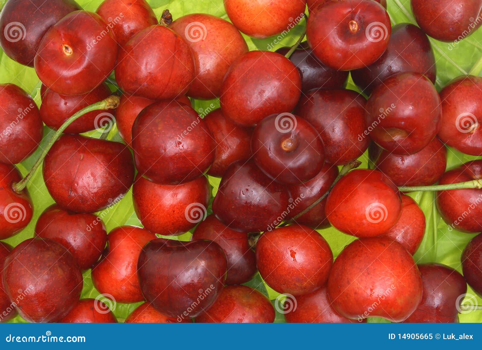 Fruits de merise. image stock. Image du fruits, blanc - 14905665