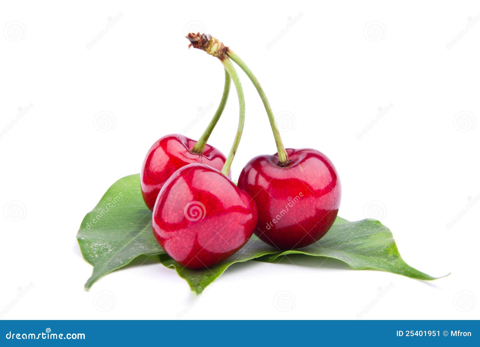 Fruits de merise image stock. Image du cerise, parfait - 25401951