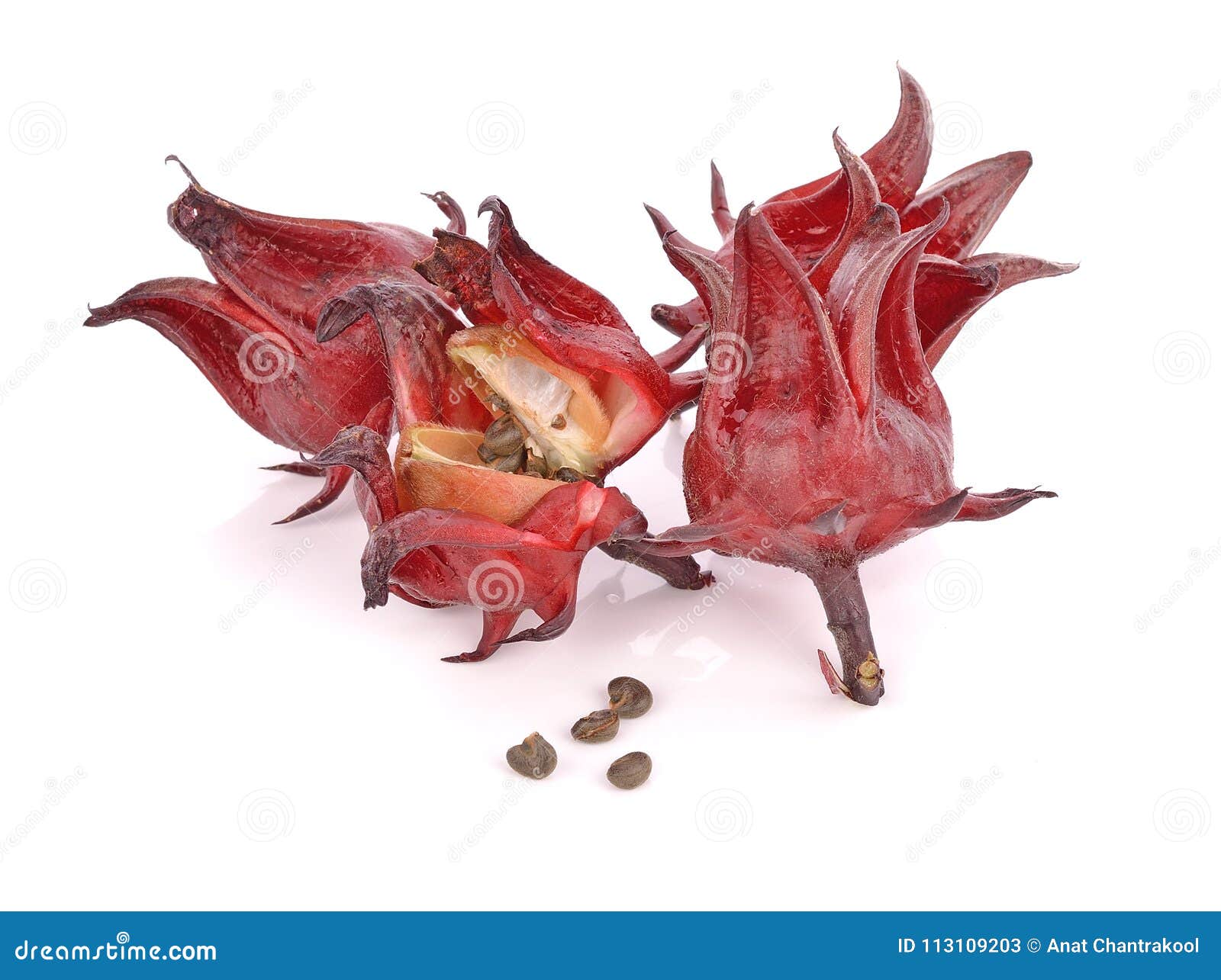 Fruits De Sabdariffa Ou De Roselle De Ketmie Image stock - Image du ...