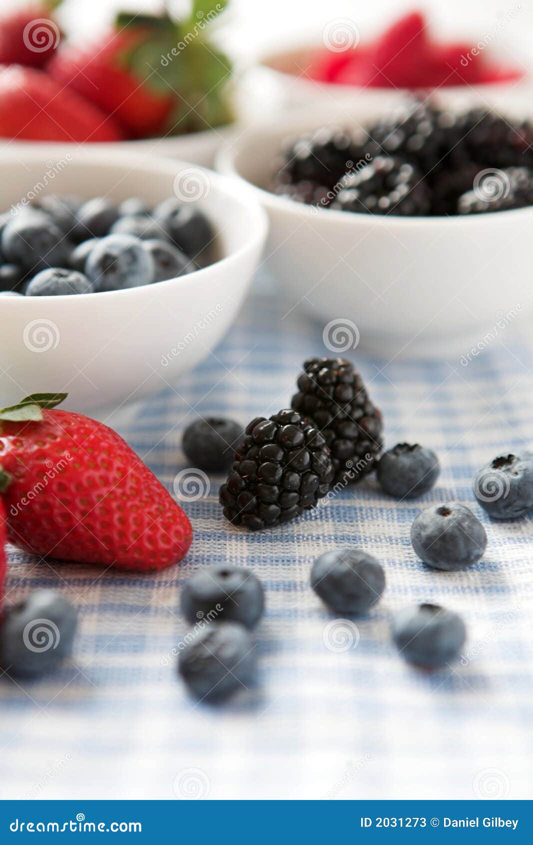 Fruits of the forest stock image. Image of flavor, gourmet - 2031273