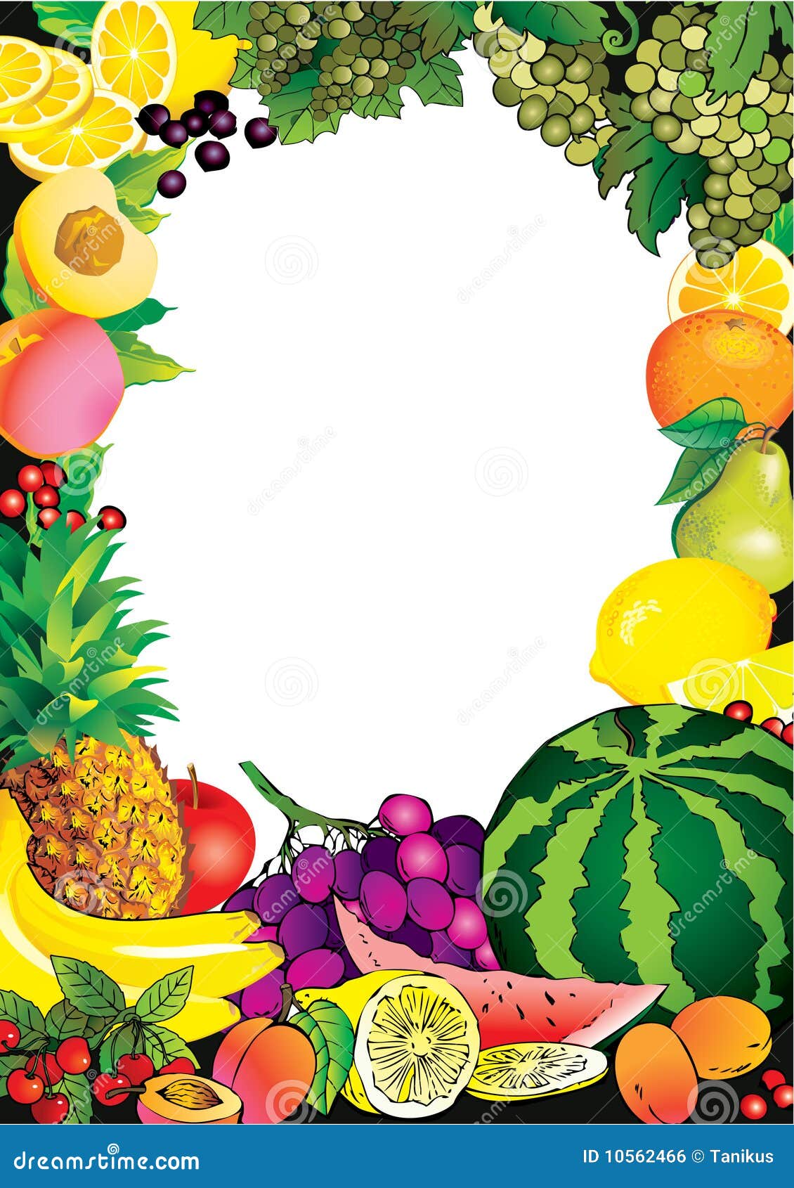 Fruits frame. stock illustration. Illustration of agriculture - 10562466