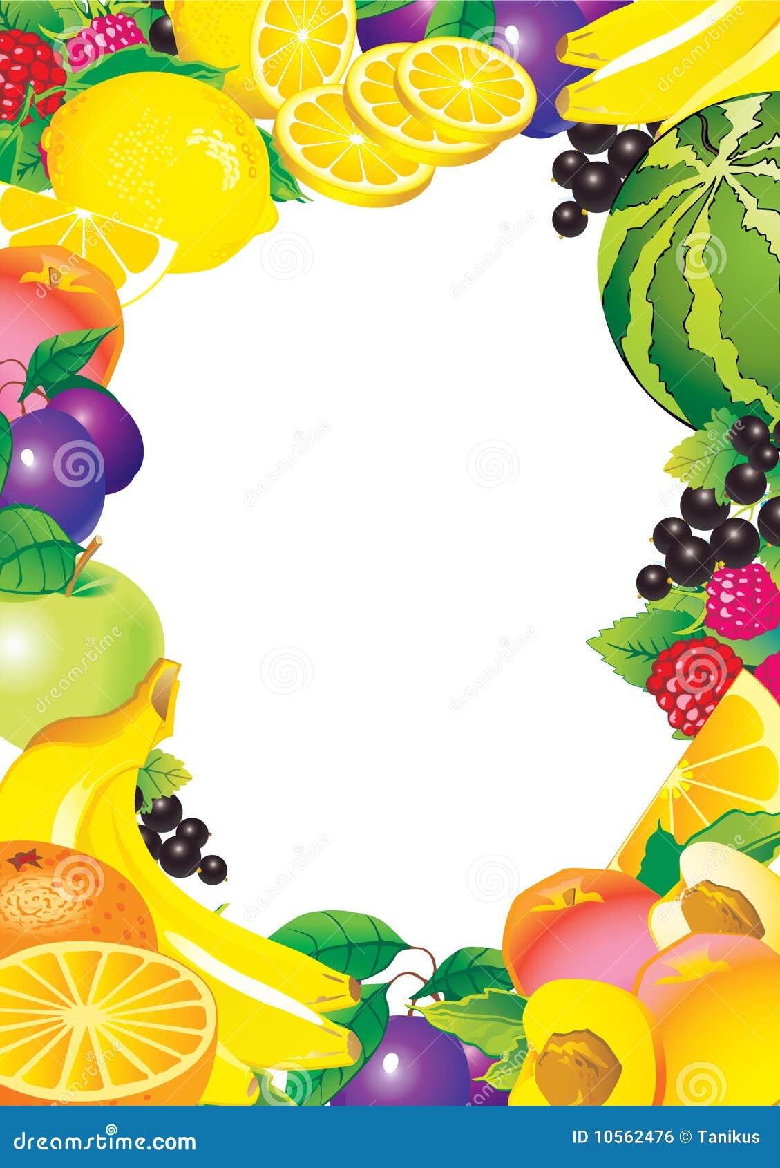 Fruits frame. stock illustration. Illustration of holiday - 10562476