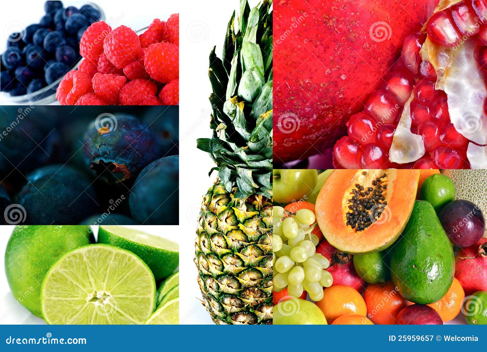 Fruits Freshness stock image. Image of freshness, fruits - 25959657