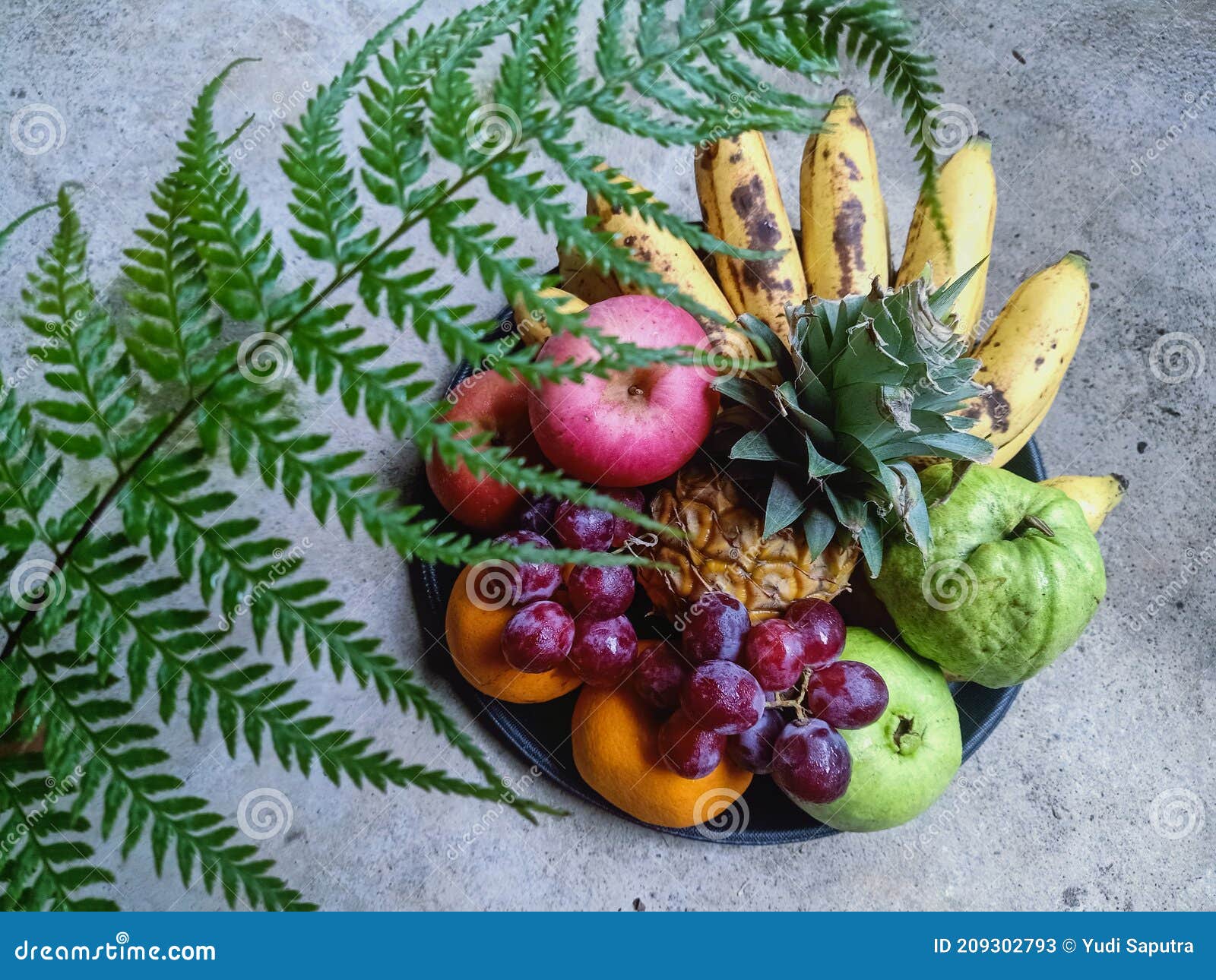 Fruits are good for health stock image. Image of apple - 209302793