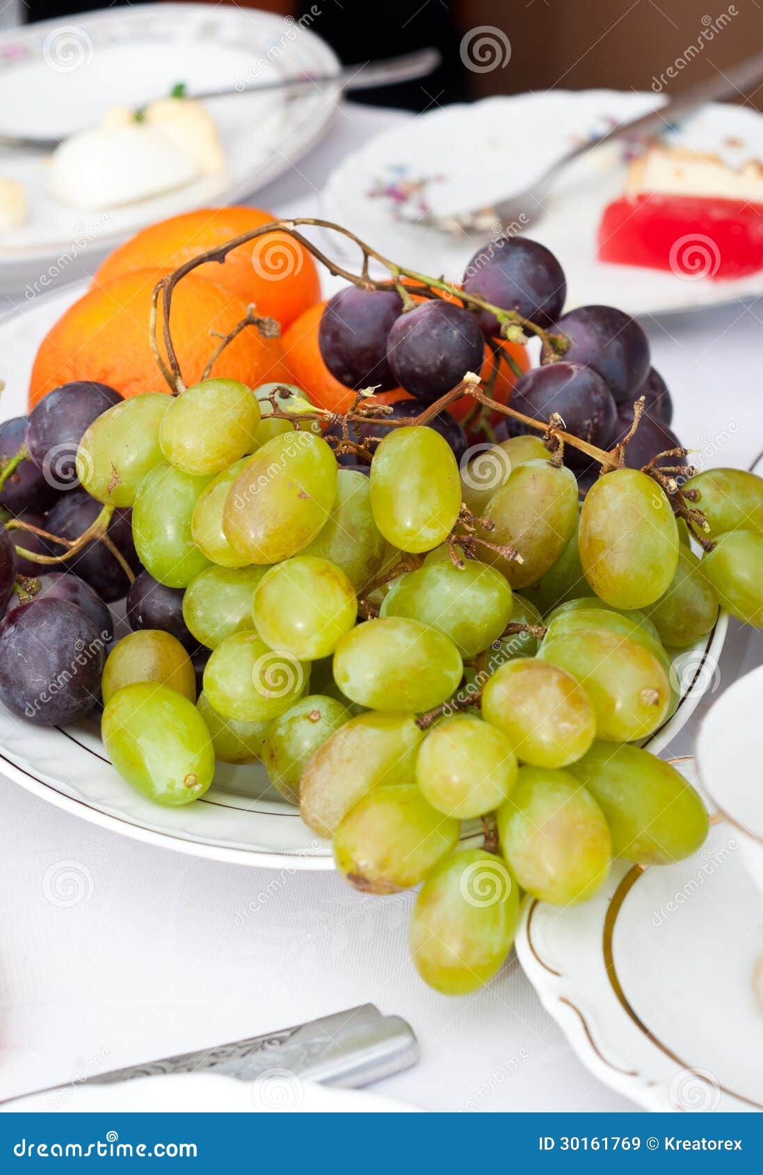 Grape stock image. Image of green, organic, studio, viticulture - 30161769