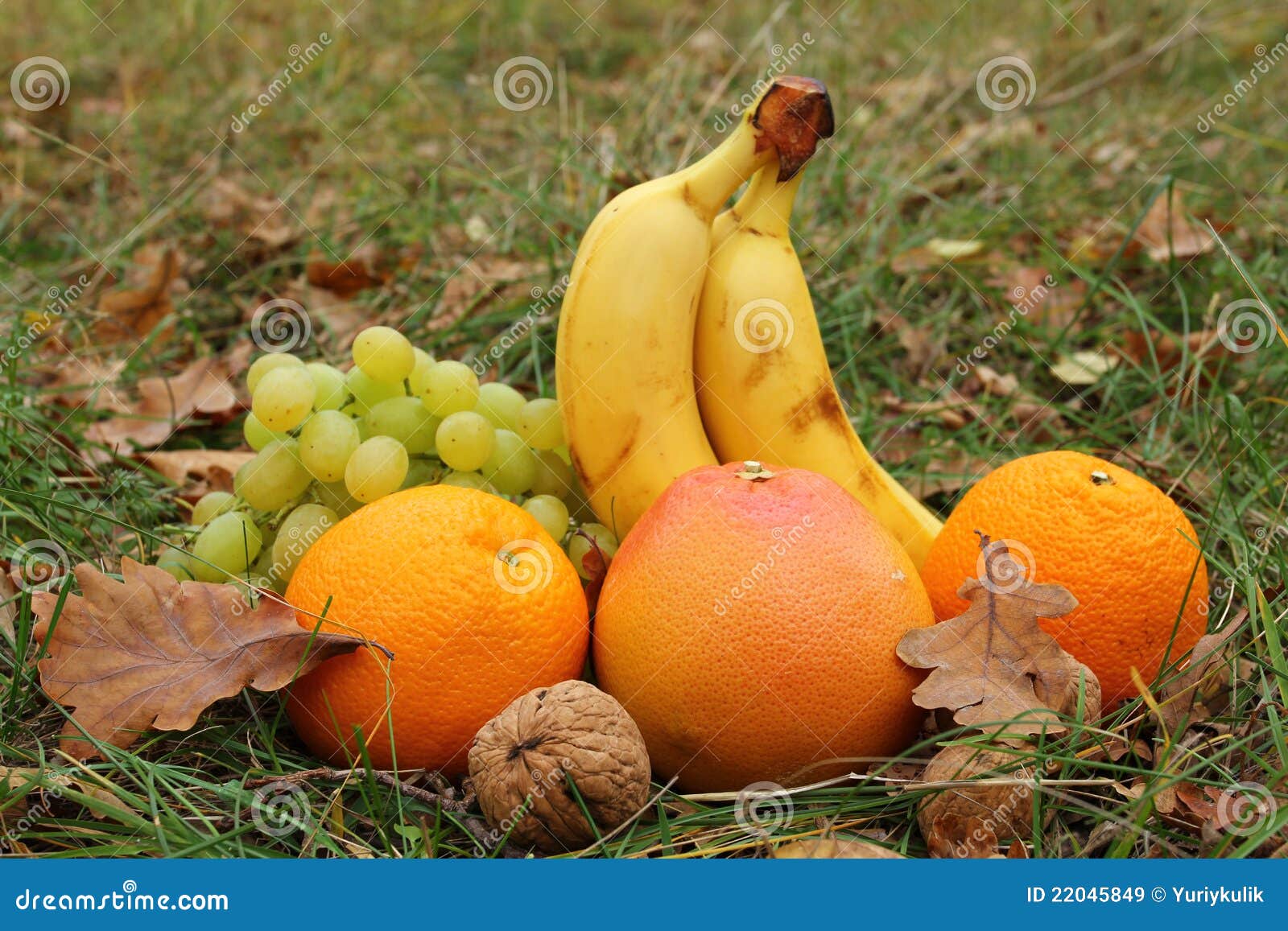 Fruits in a grass stock image. Image of beauty, life - 22045849