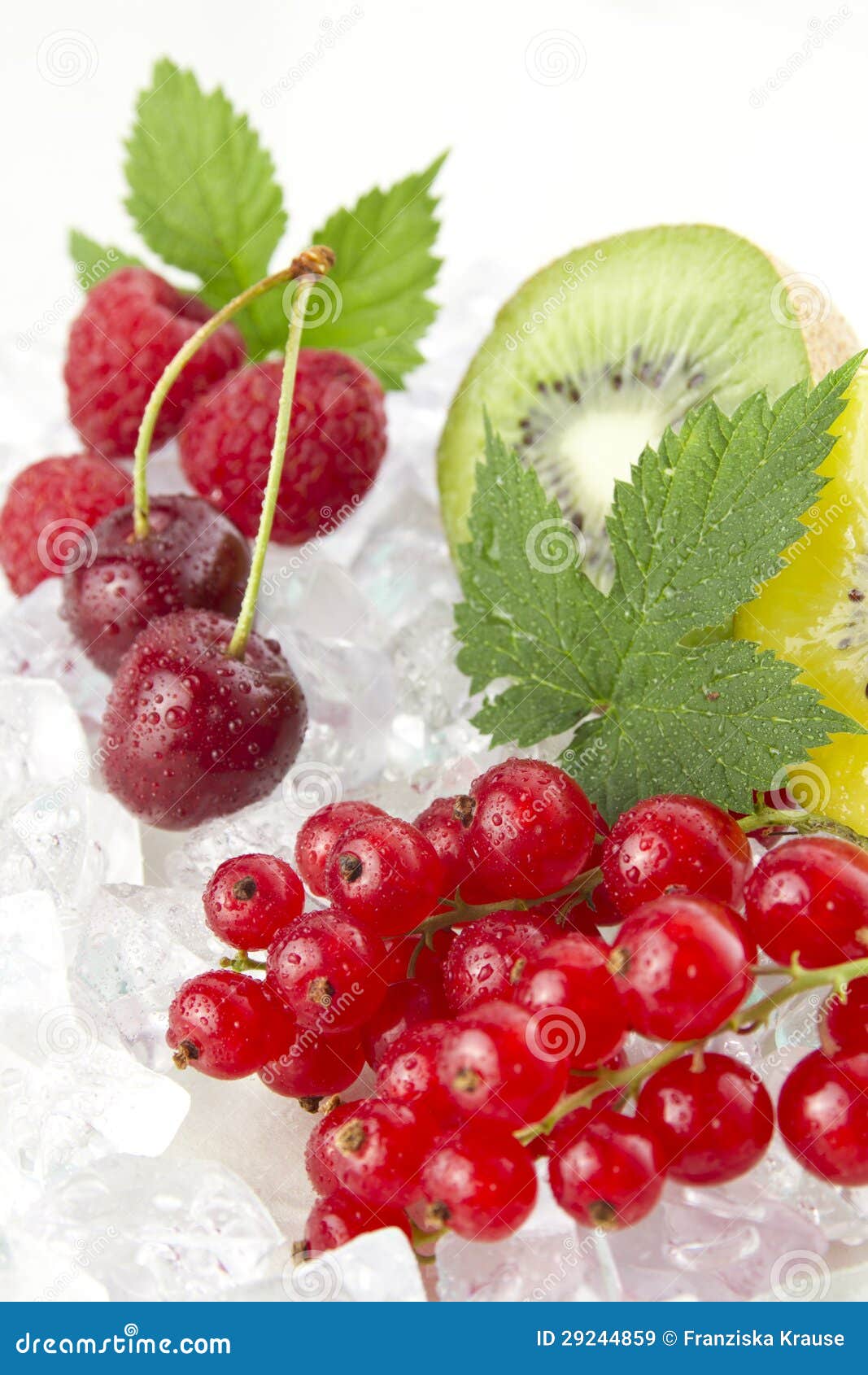 Fruits on ice stock image. Image of green, leaf, redcurrant - 29244859