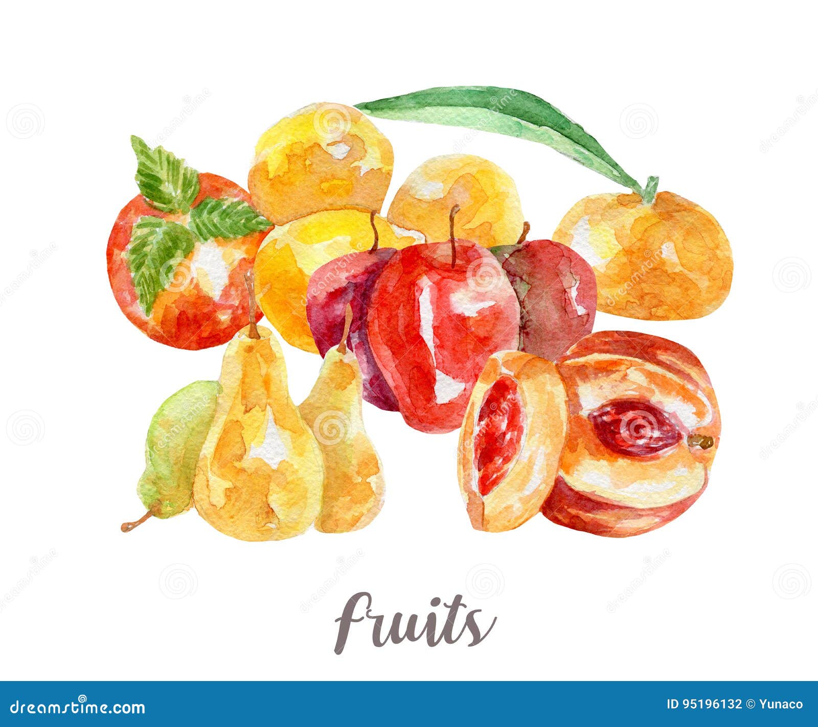 Fruits Illustration. Hand Drawn Watercolor on White Background. Stock ...