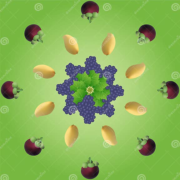Fruits layers stock vector. Illustration of fruits, mangosteens - 78368410