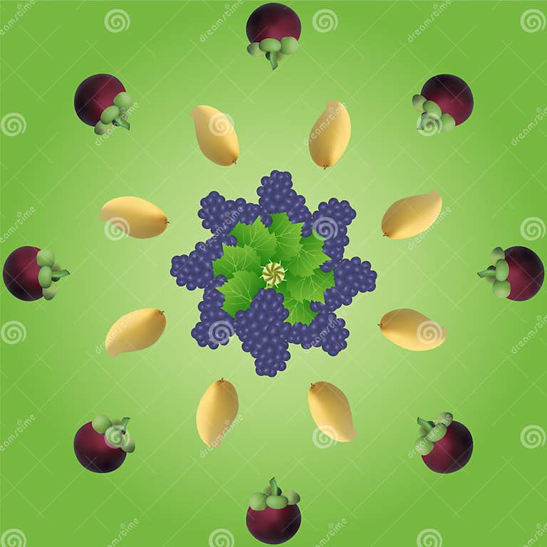 Fruits layers stock vector. Illustration of fruits, mangosteens - 78368410