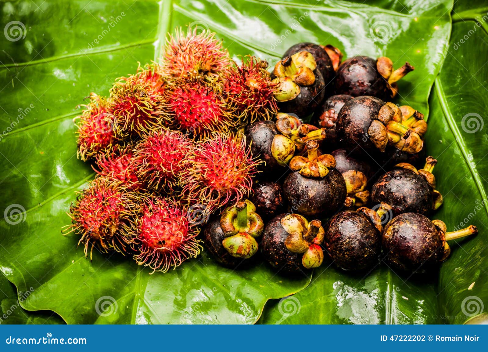 Fruits on a leaf stock photo. Image of asia, space, photostock - 47222202