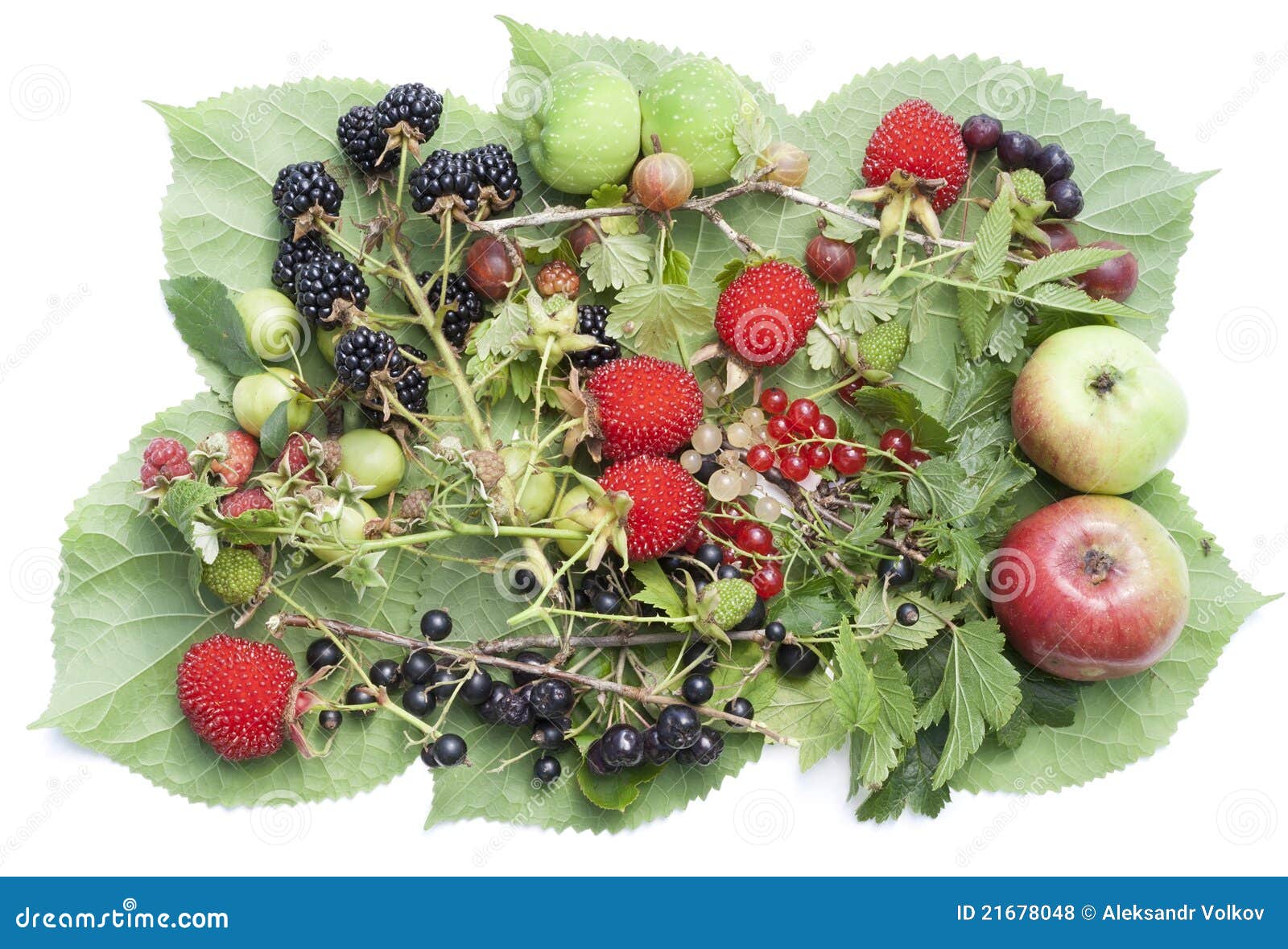 Fruits and leaves mix stock photo. Image of garden, gardening - 21678048