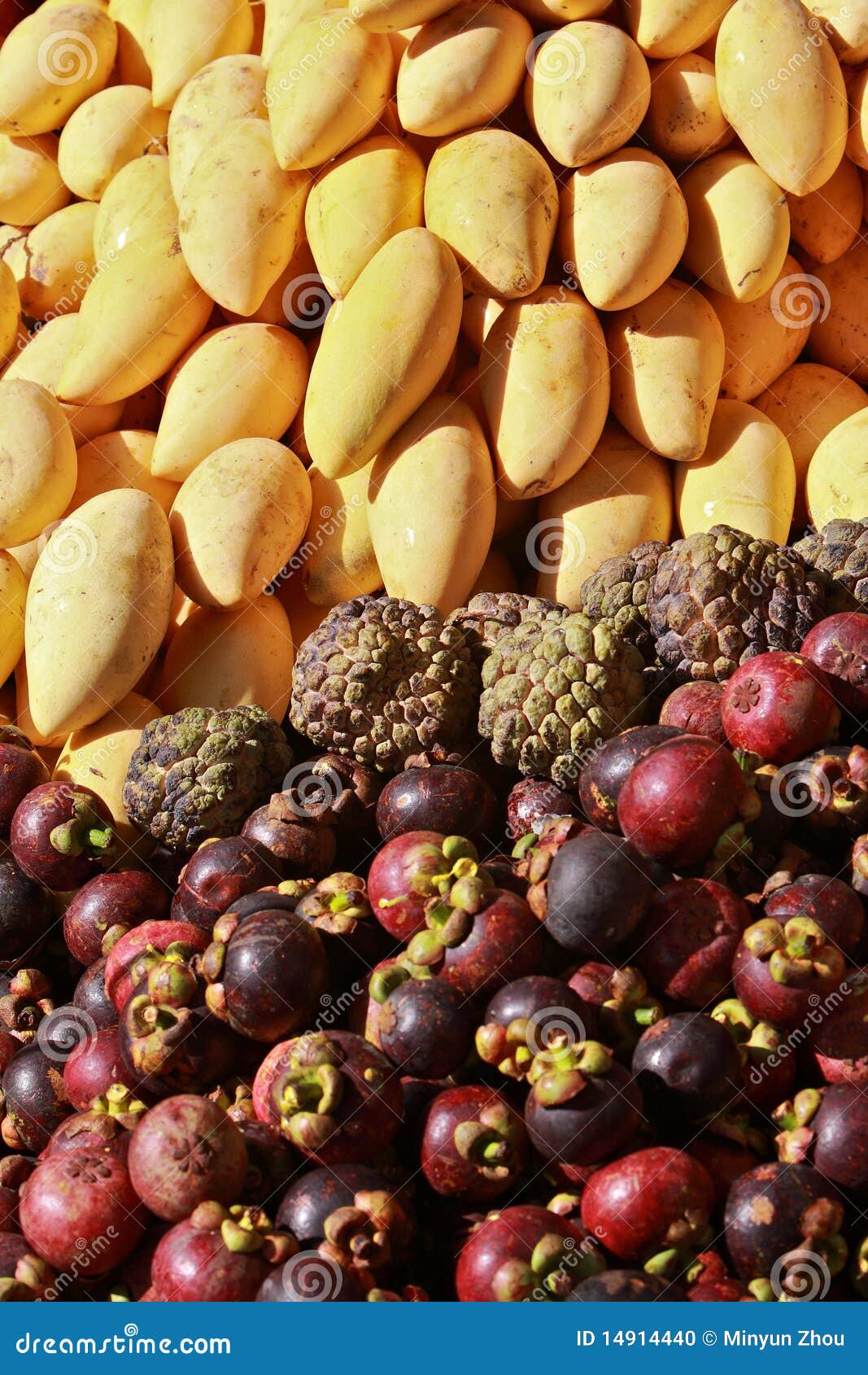 Fruits mixture stock photo. Image of paddle, colorful - 14914440