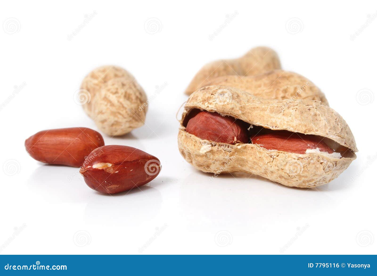 67,597 Peanut White Background Stock Photos - Free & Royalty-Free Stock ...
