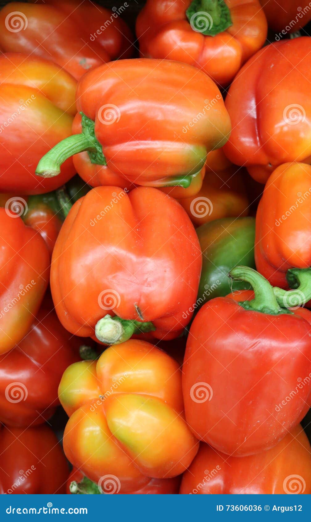 The Fruits of Pepper. Background Stock Photo - Image of fruit, cooking ...