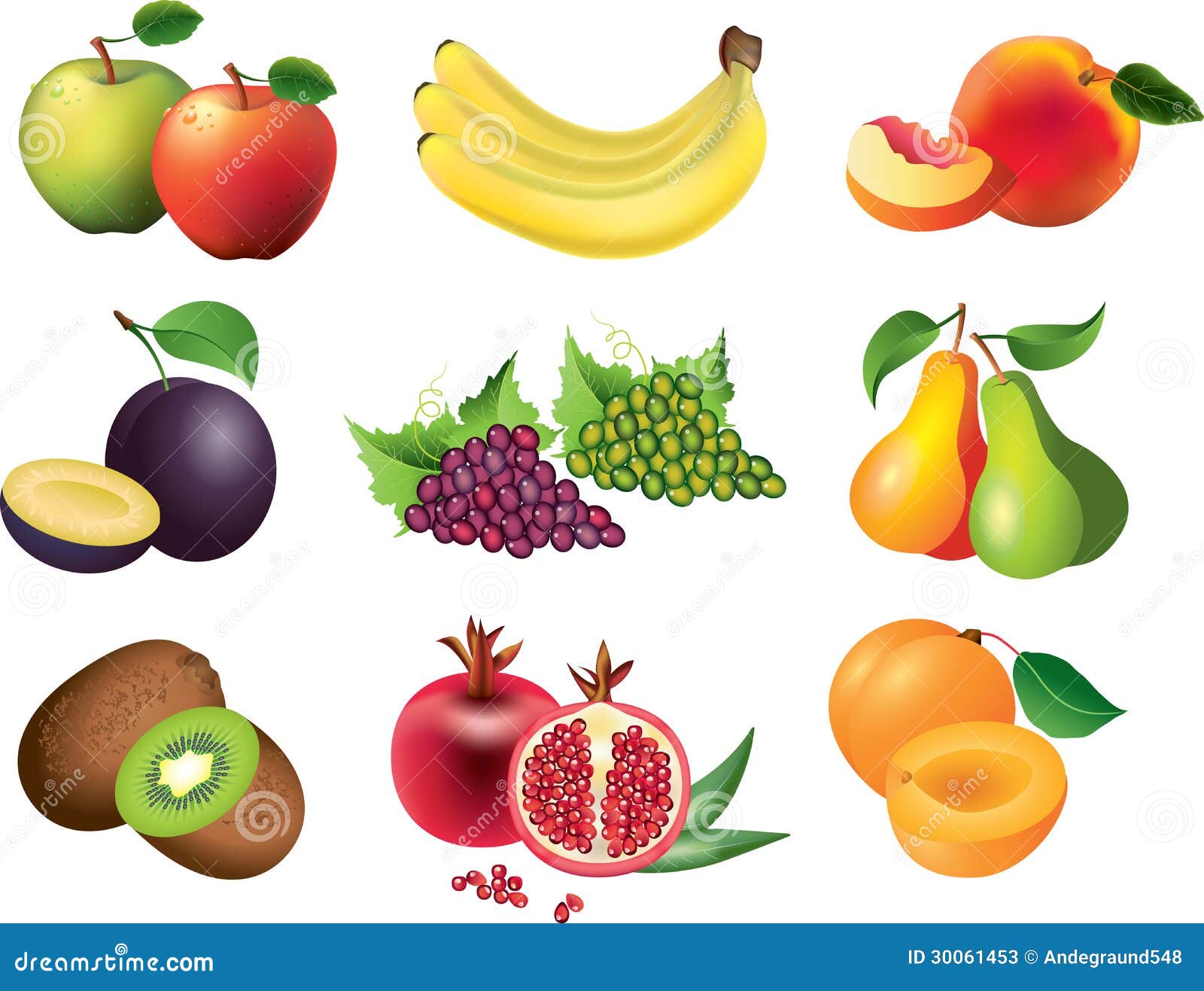 Fruits photo-realistic set stock vector. Illustration of garnet - 30061453