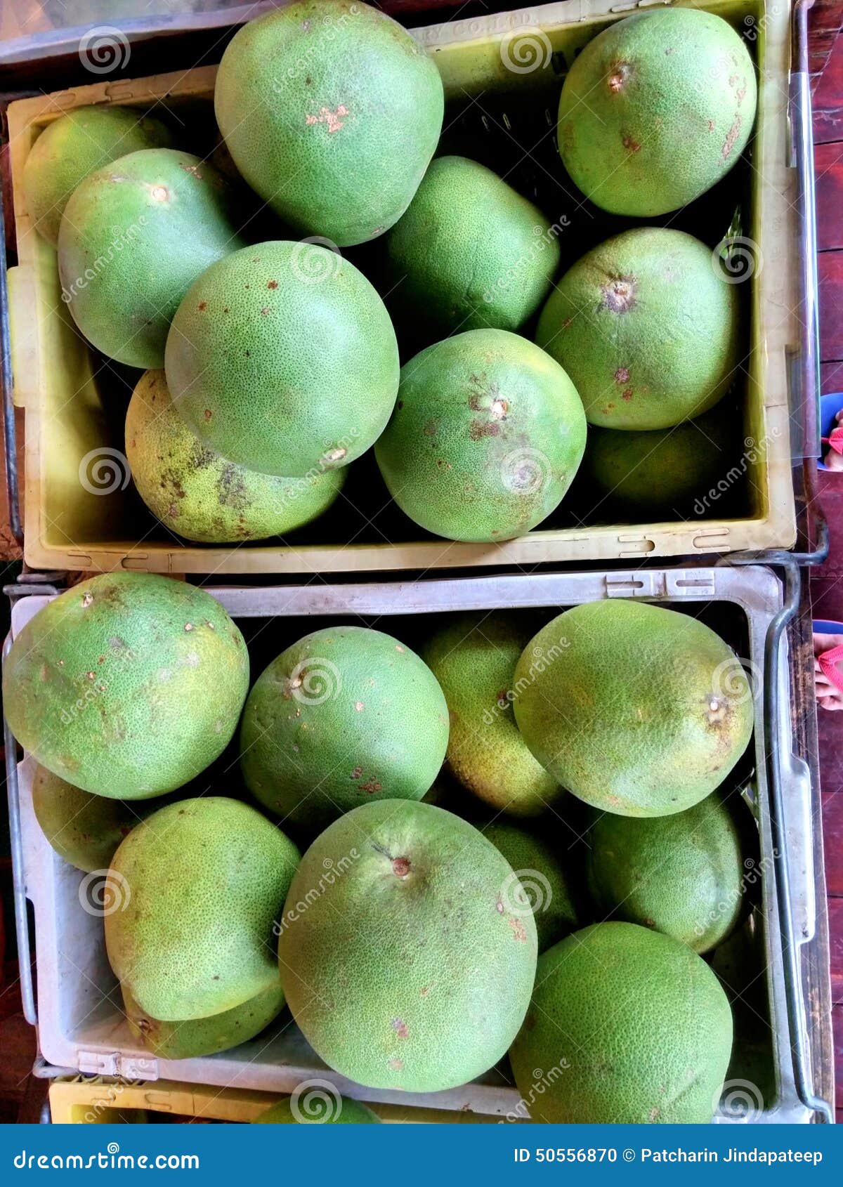 Fruits stock photo. Image of fruits, pomelos, sweet, gardener - 50556870