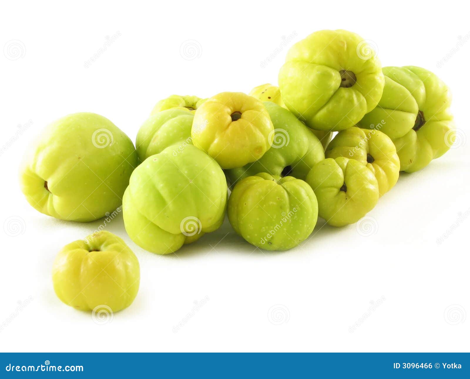 Fruits of quinces stock photo. Image of green, macro, shape - 3096466