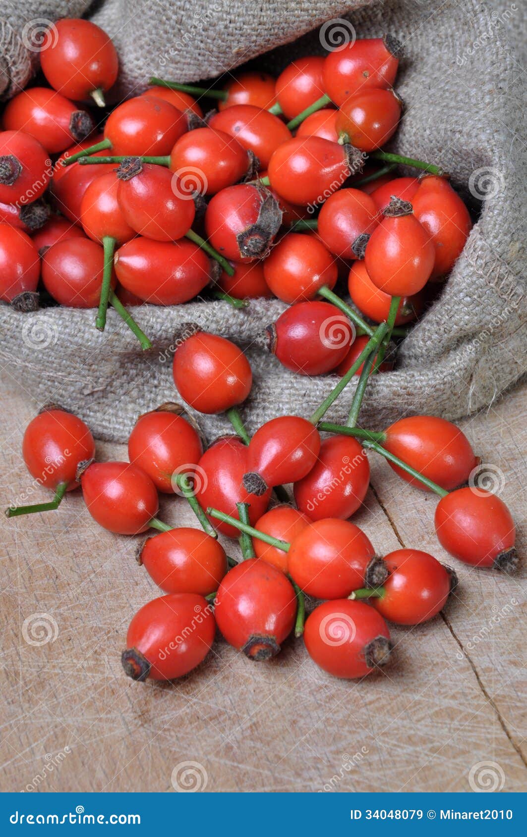 Fruits of rose hip stock image. Image of medicine, decoration - 34048079