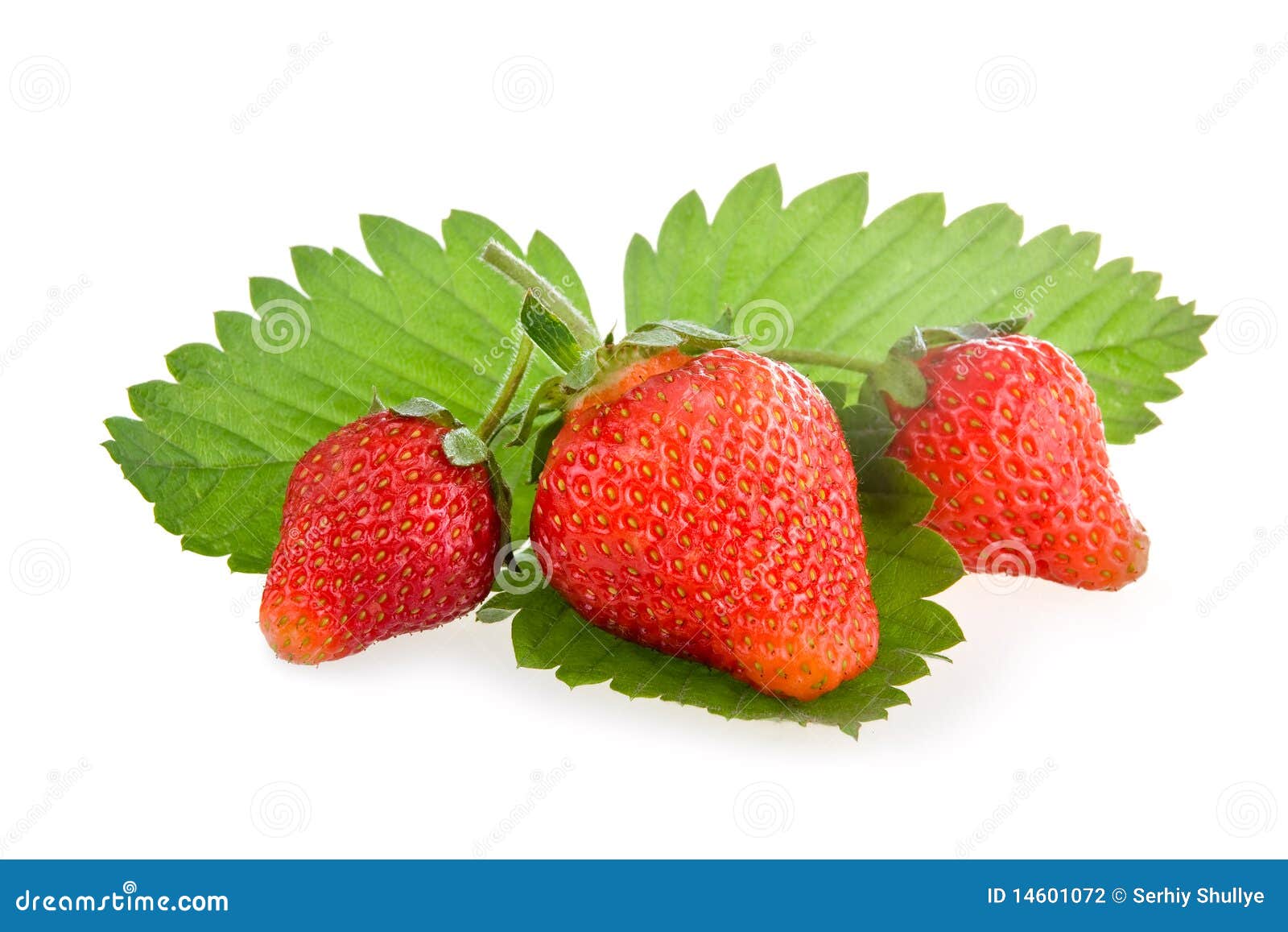 Fruits Rouges De Fraise Avec Les Lames Vertes Photo stock - Image du ...