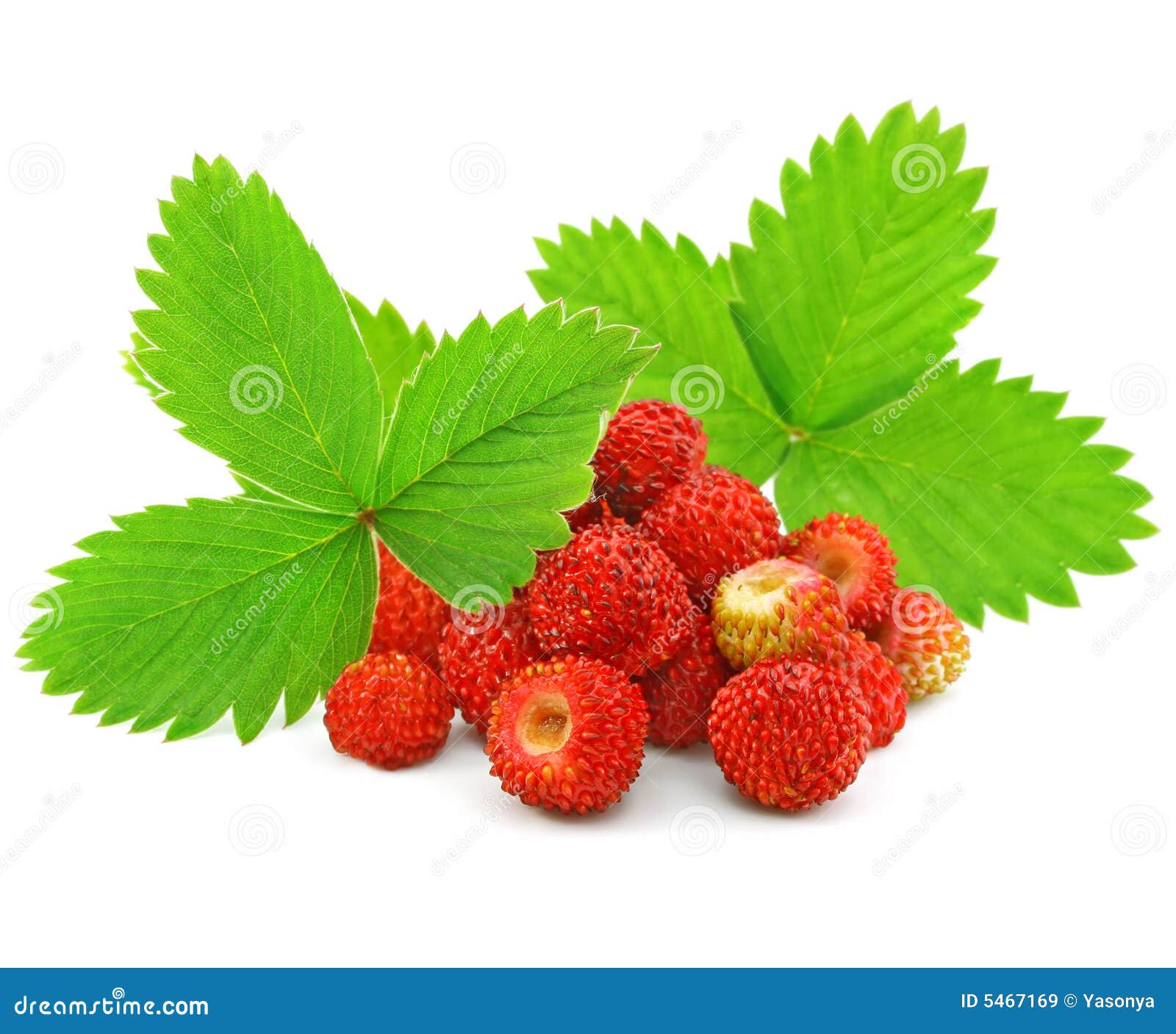 Fruits Rouges De Fraise Avec Les Lames Vertes Image stock - Image du ...