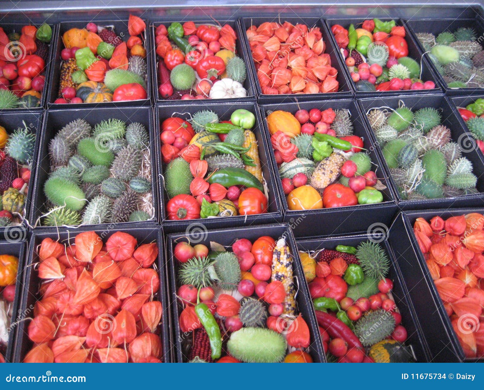 Fruits and Seeds stock photo. Image of seed, tray, colourful - 11675734