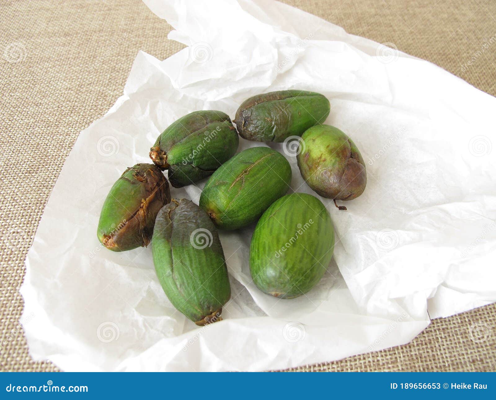 Fruits or Seeds of the Japanese Torreya Stock Image - Image of edible ...