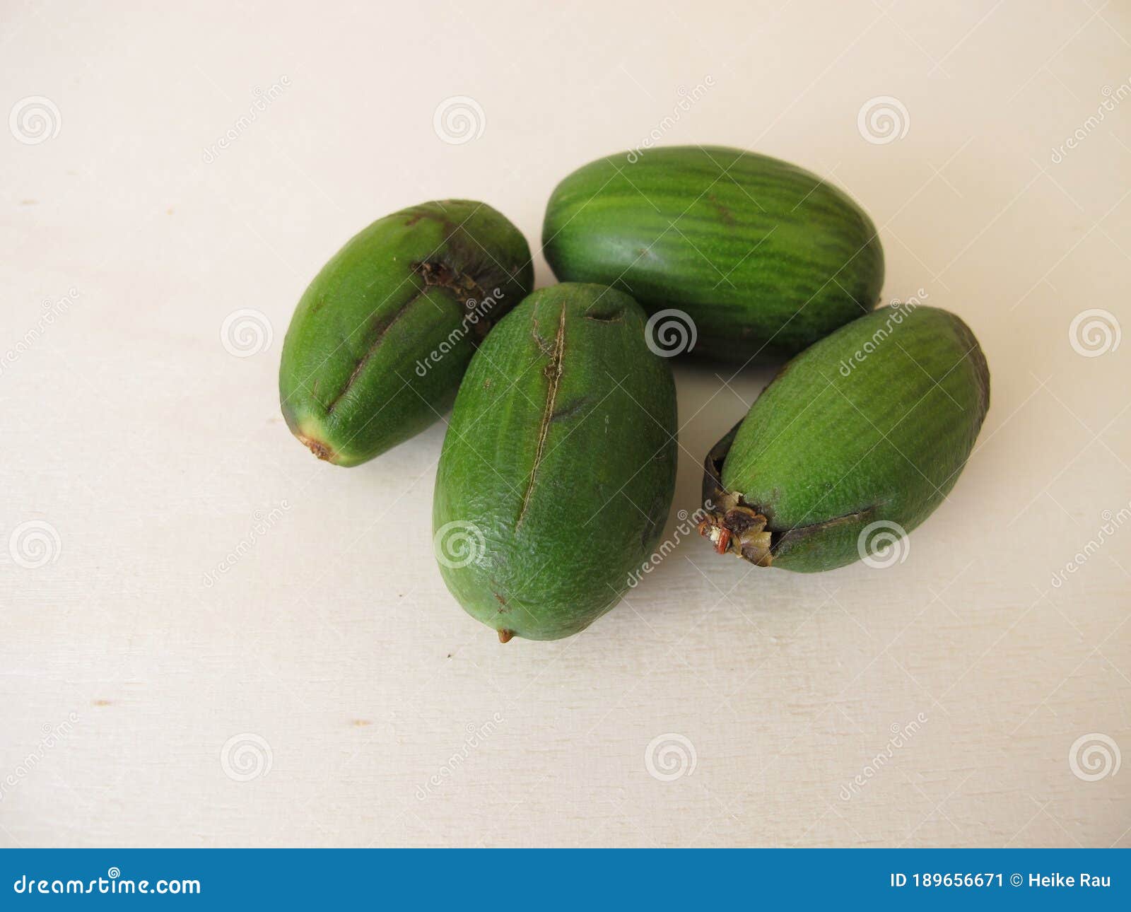 Fruits or Seeds of the Japanese Torreya Stock Image - Image of yews ...