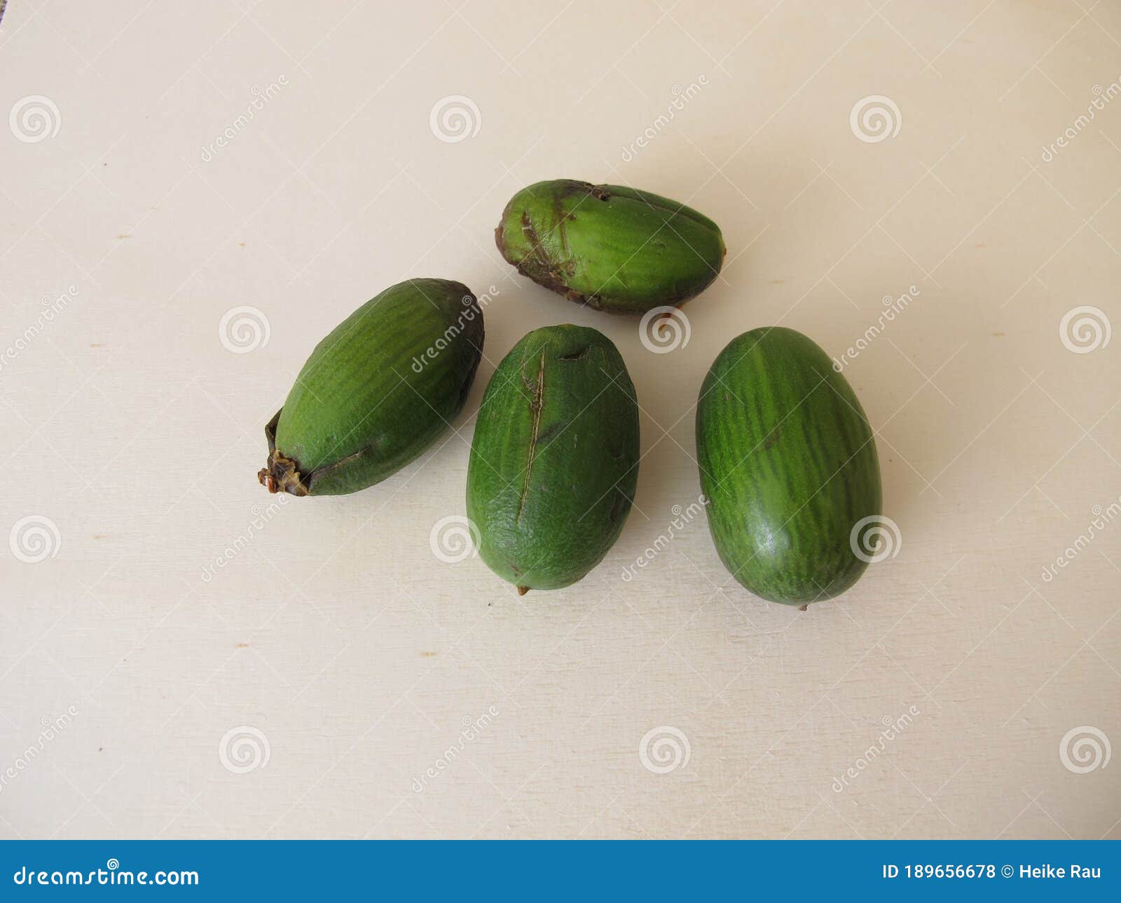 Fruits or Seeds of the Japanese Torreya Stock Photo - Image of seeds ...