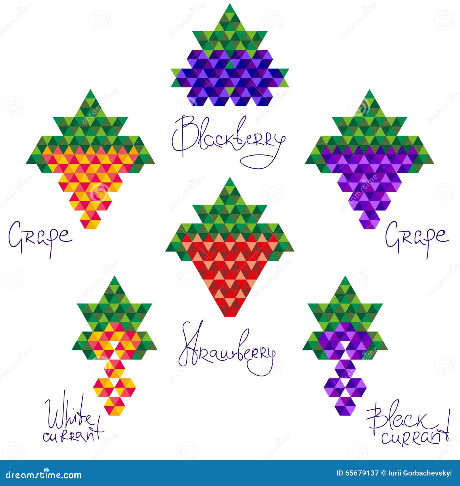 Fruits stock vector. Illustration of black, cranberry - 65679137