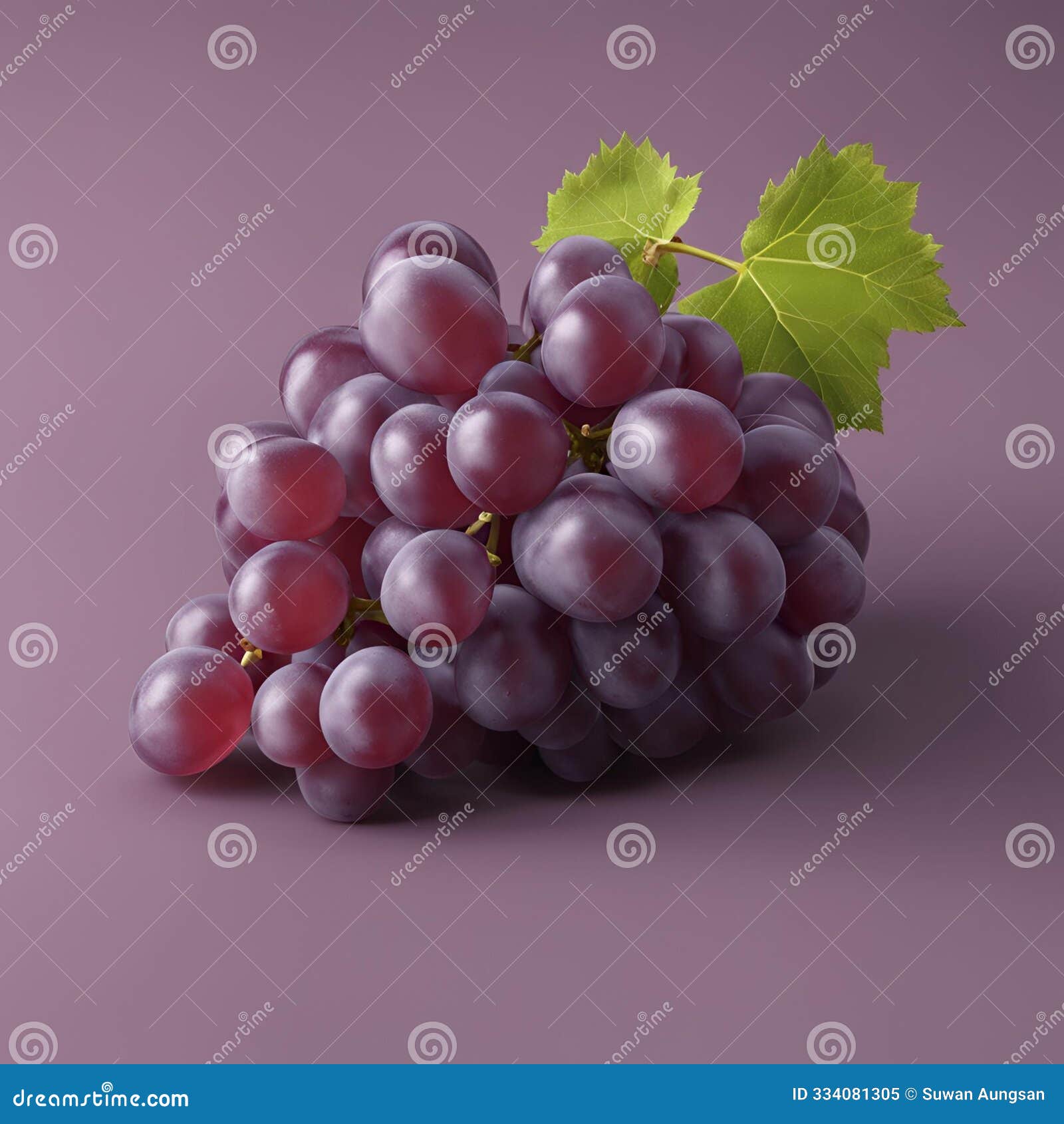 Fruits Studio - a Grape, Front View, Studio Photo Stock Illustration ...