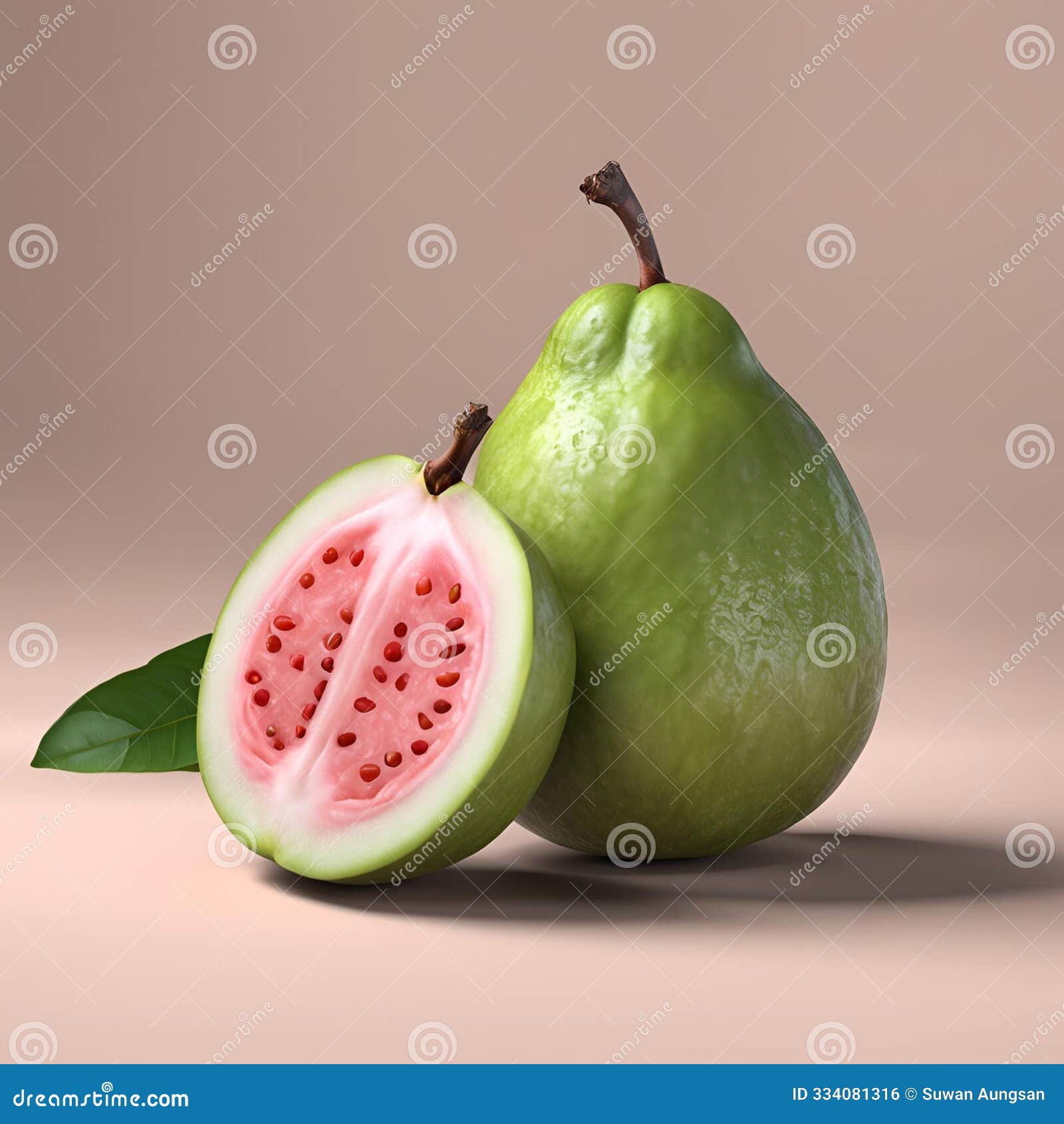Fruits Studio - a Guava, Front View, Studio Photo Stock Illustration ...