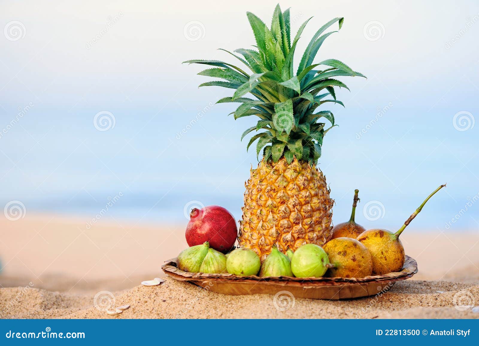 Fruits sur le sable photo stock. Image du compartiment - 22813500