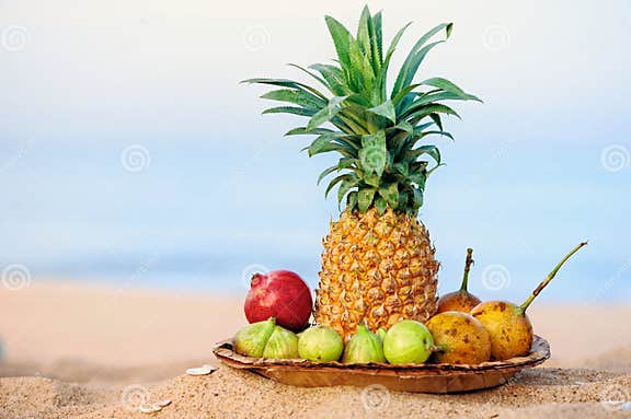 Fruits sur le sable photo stock. Image du compartiment - 22813500