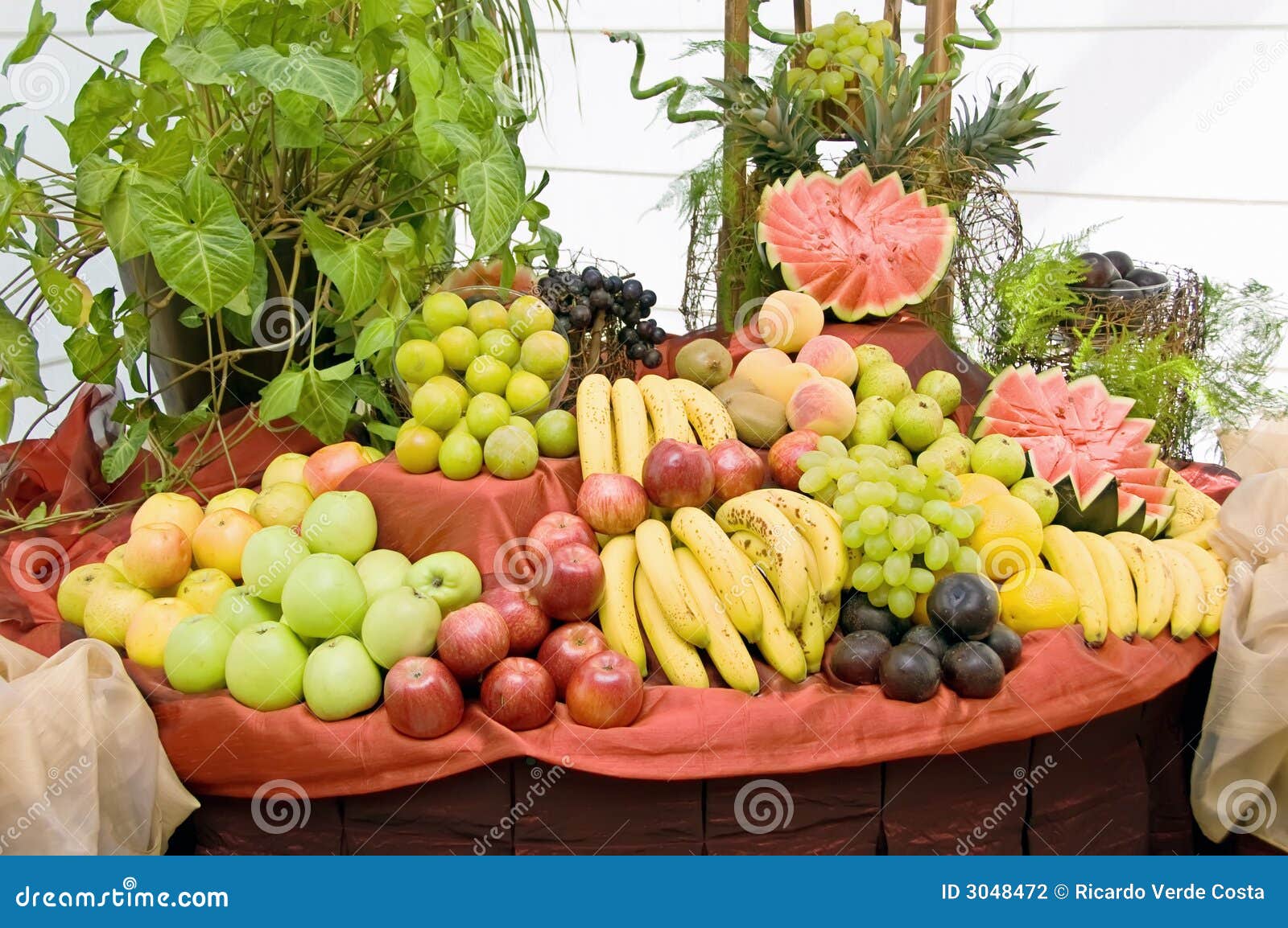 Fruits table stock photo. Image of fruit, industry, artistic - 3048472