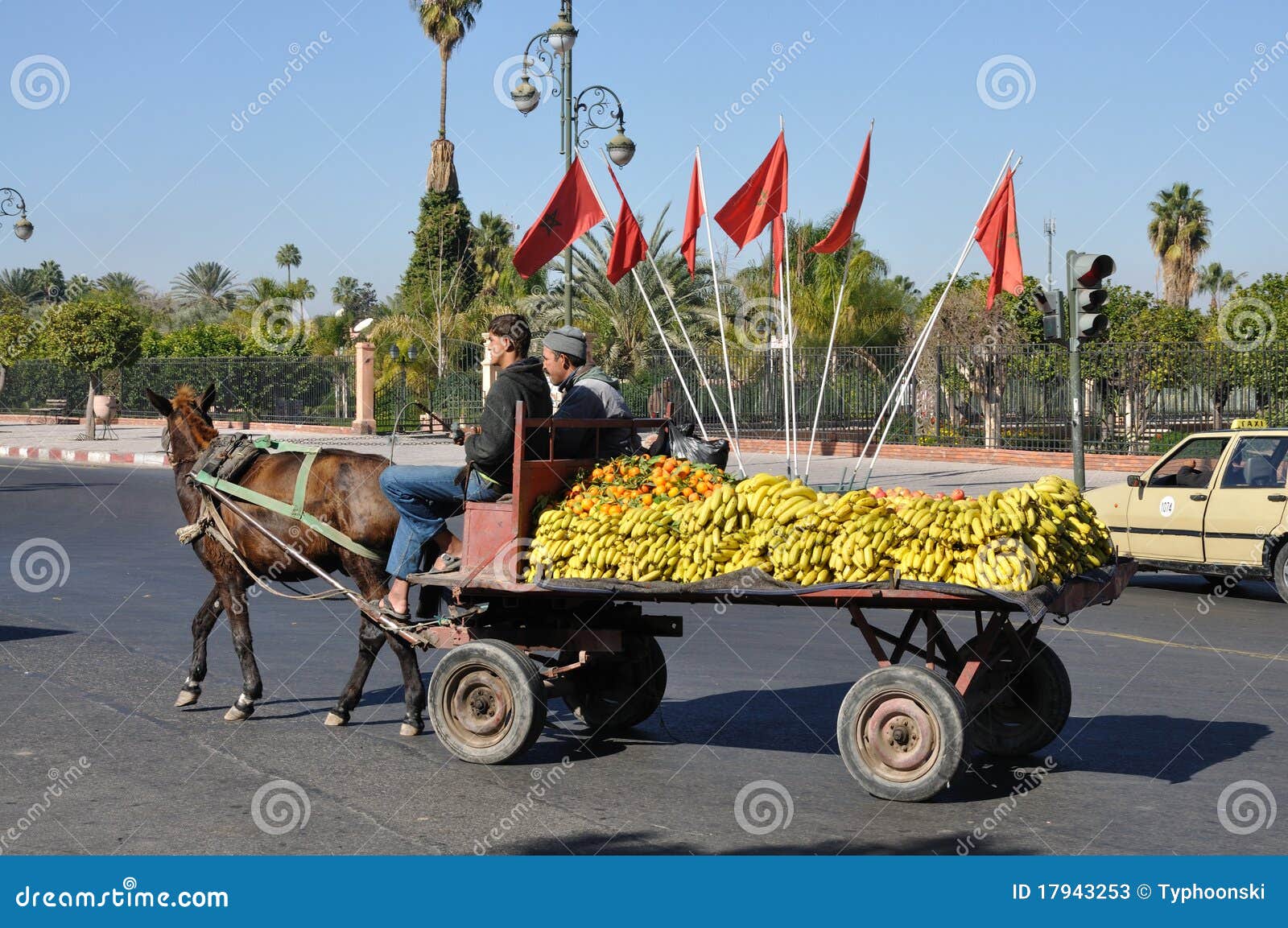 Fruits Transport in Marrakesh Editorial Stock Photo - Image of city ...