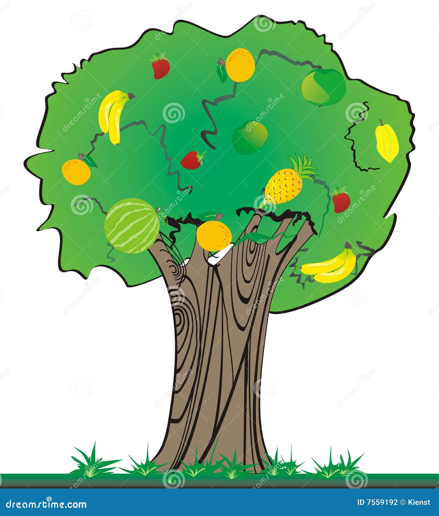 Fruits tree stock vector. Illustration of healthful, leaf - 7559192