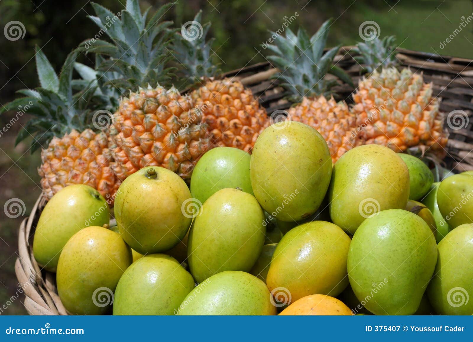 Fruits tropicaux image stock. Image du tropical, humide - 375407