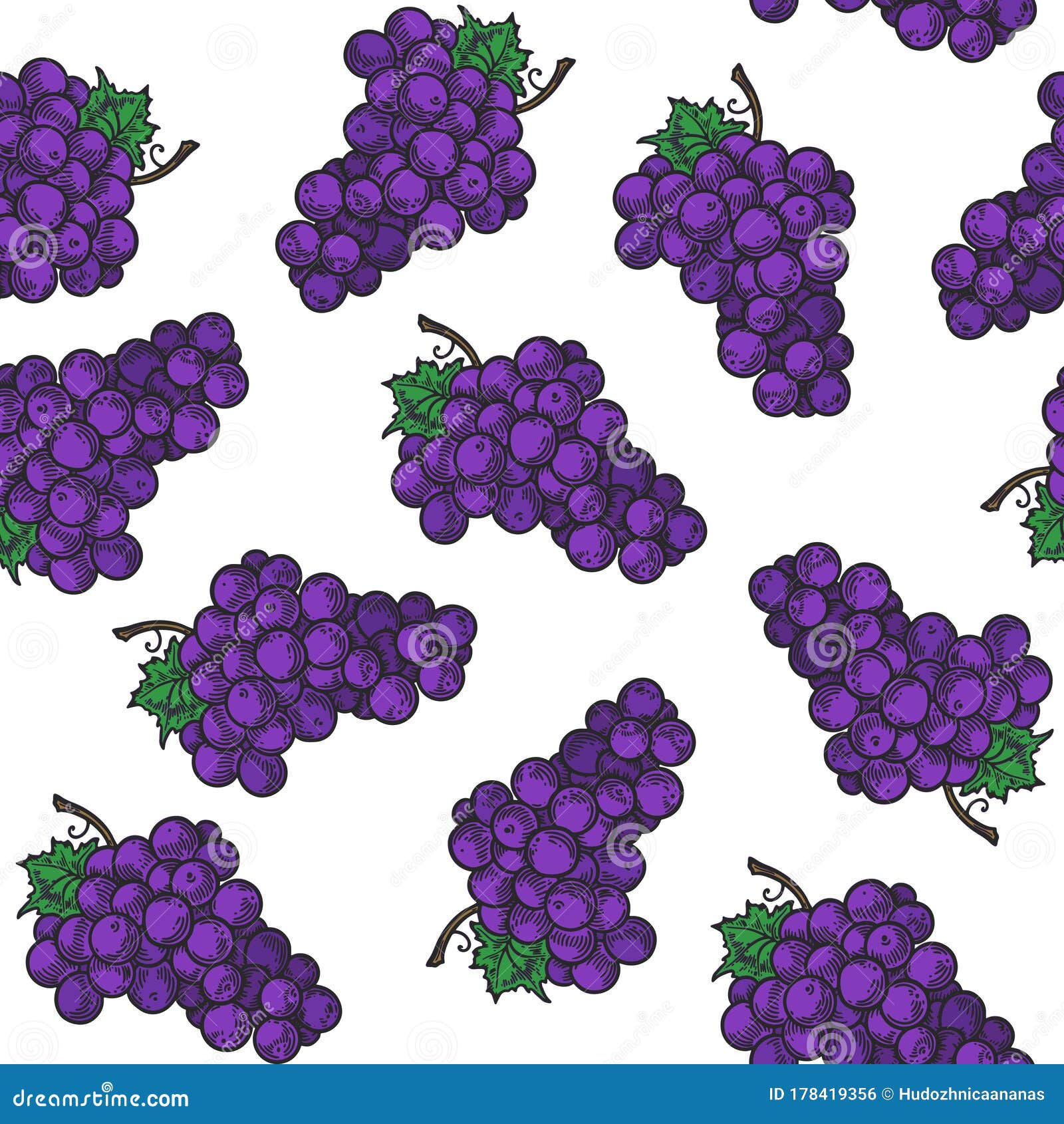 Grape pattern stock vector. Illustration of graphic - 178419356