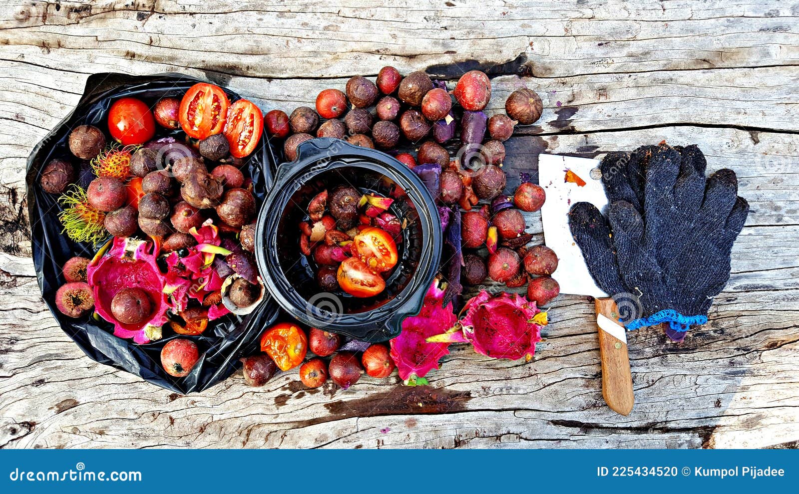 Fruits and Vegetables are Preparing To Compost Fertilizer Stock Photo ...