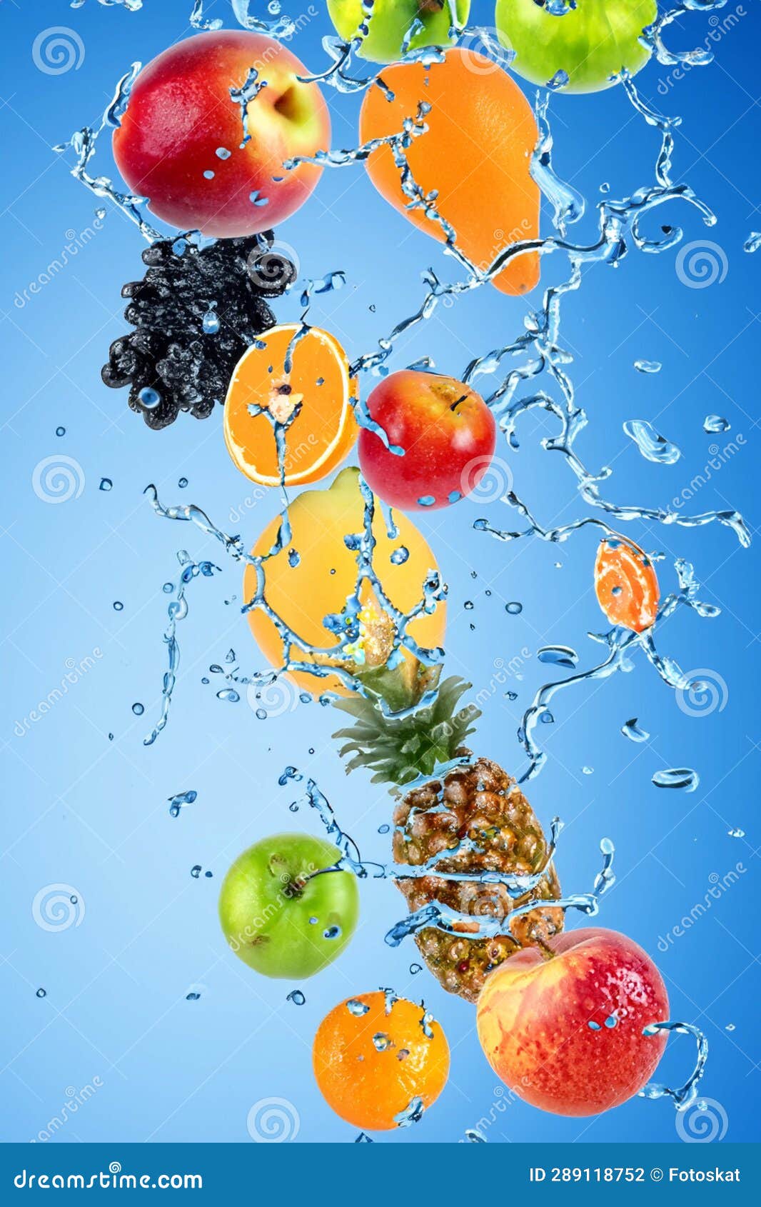 Fruits and Water stock illustration. Illustration of water - 289118752