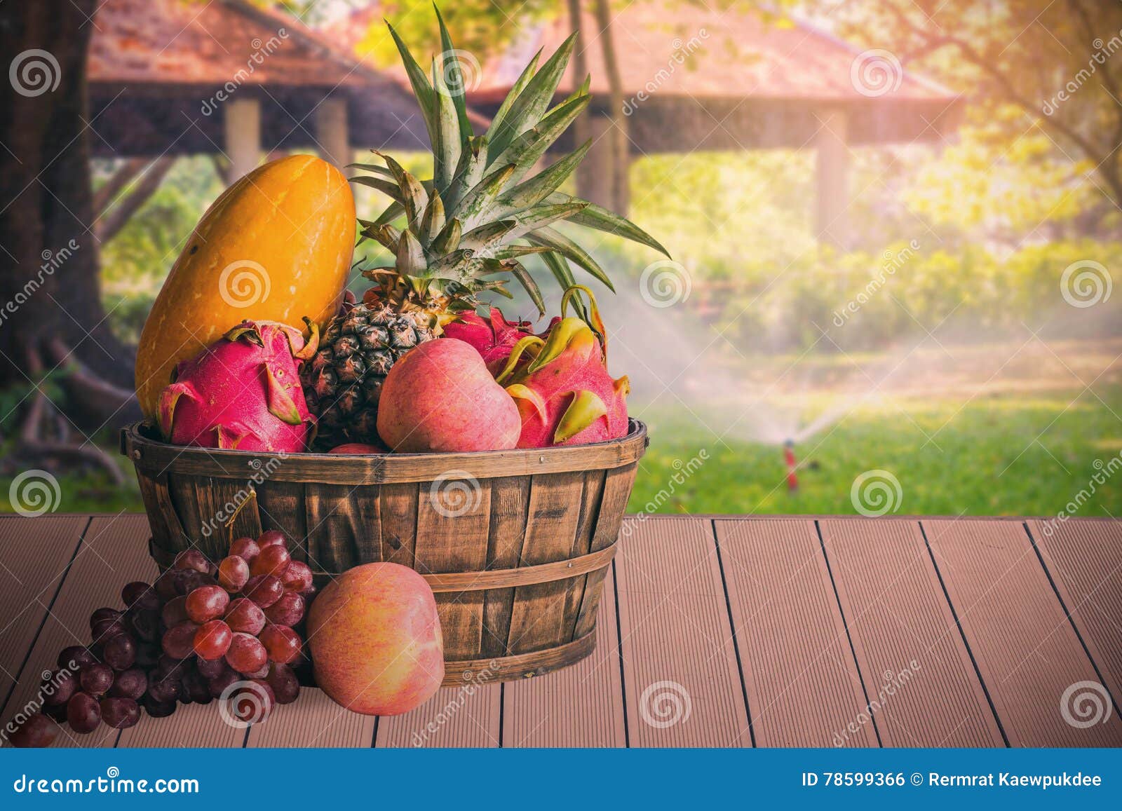 Fruits on the wooden stock photo. Image of gardener, apricots - 78599366