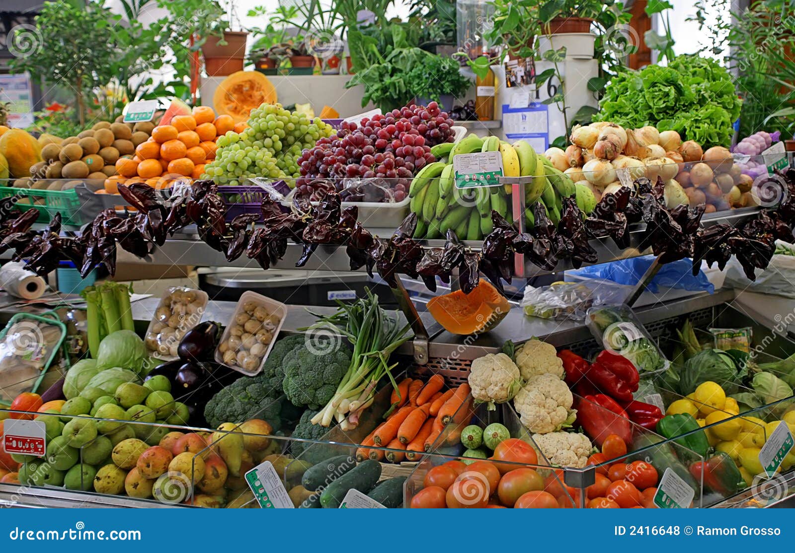 Fruitshop stock photo. Image of grapes, farmer, natural - 2416648