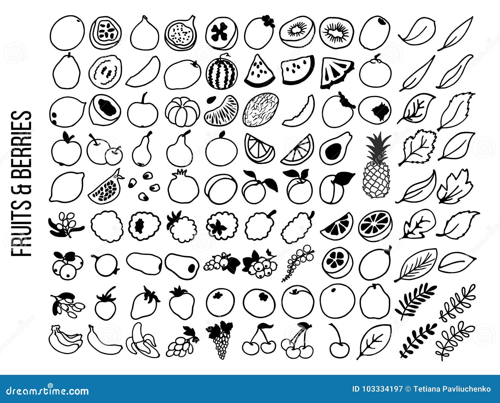 FruitsShutter2 stock vector. Illustration of lime, currant - 103334197