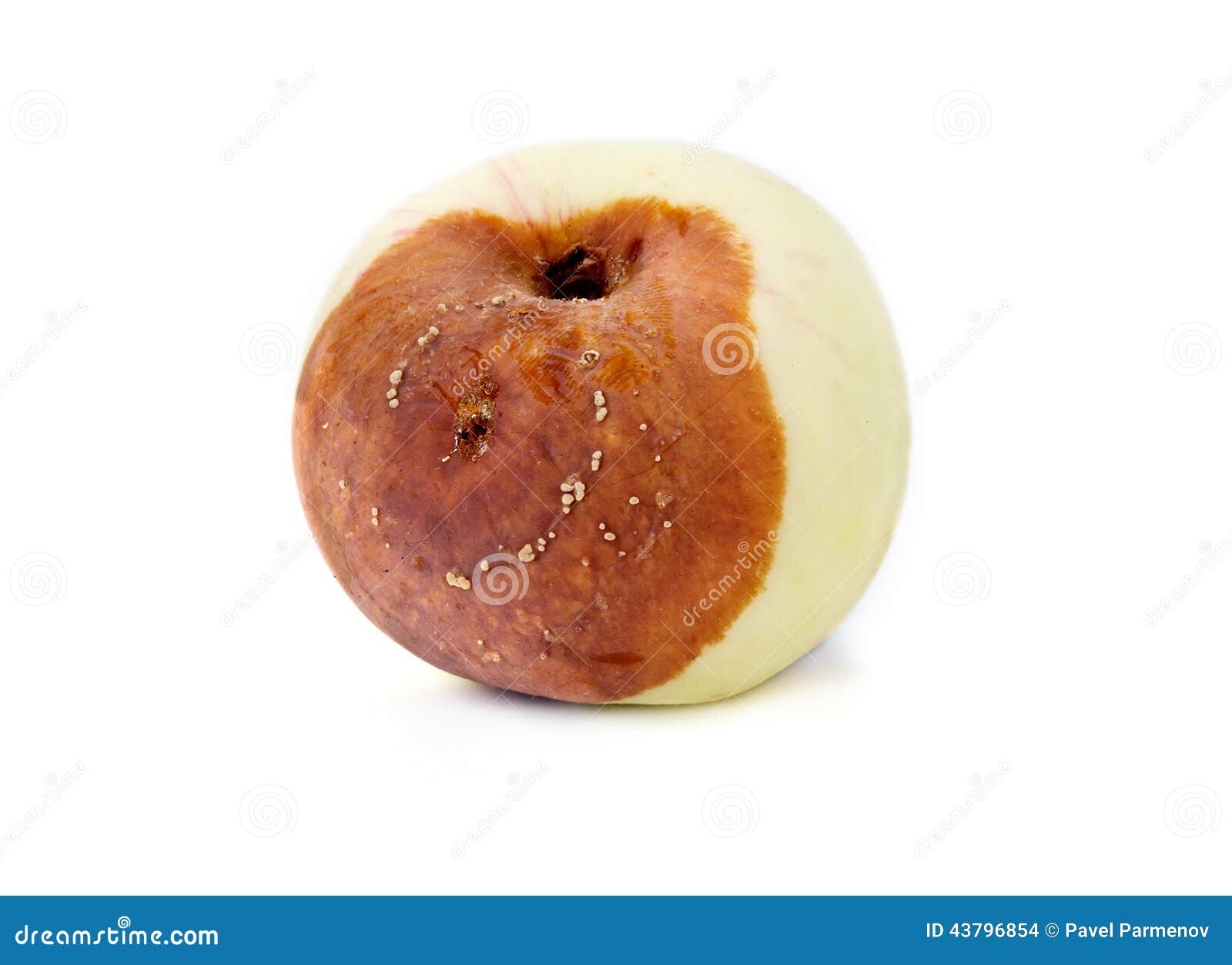 Fruitverrotting van appel stock foto. Image of flora - 43796854